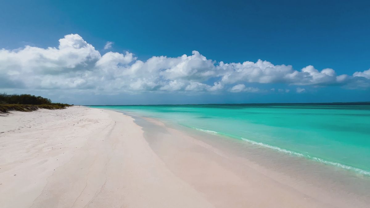 Beach+Creepshots Videos, Download The BEST Free 4k Stock Video Footage ...