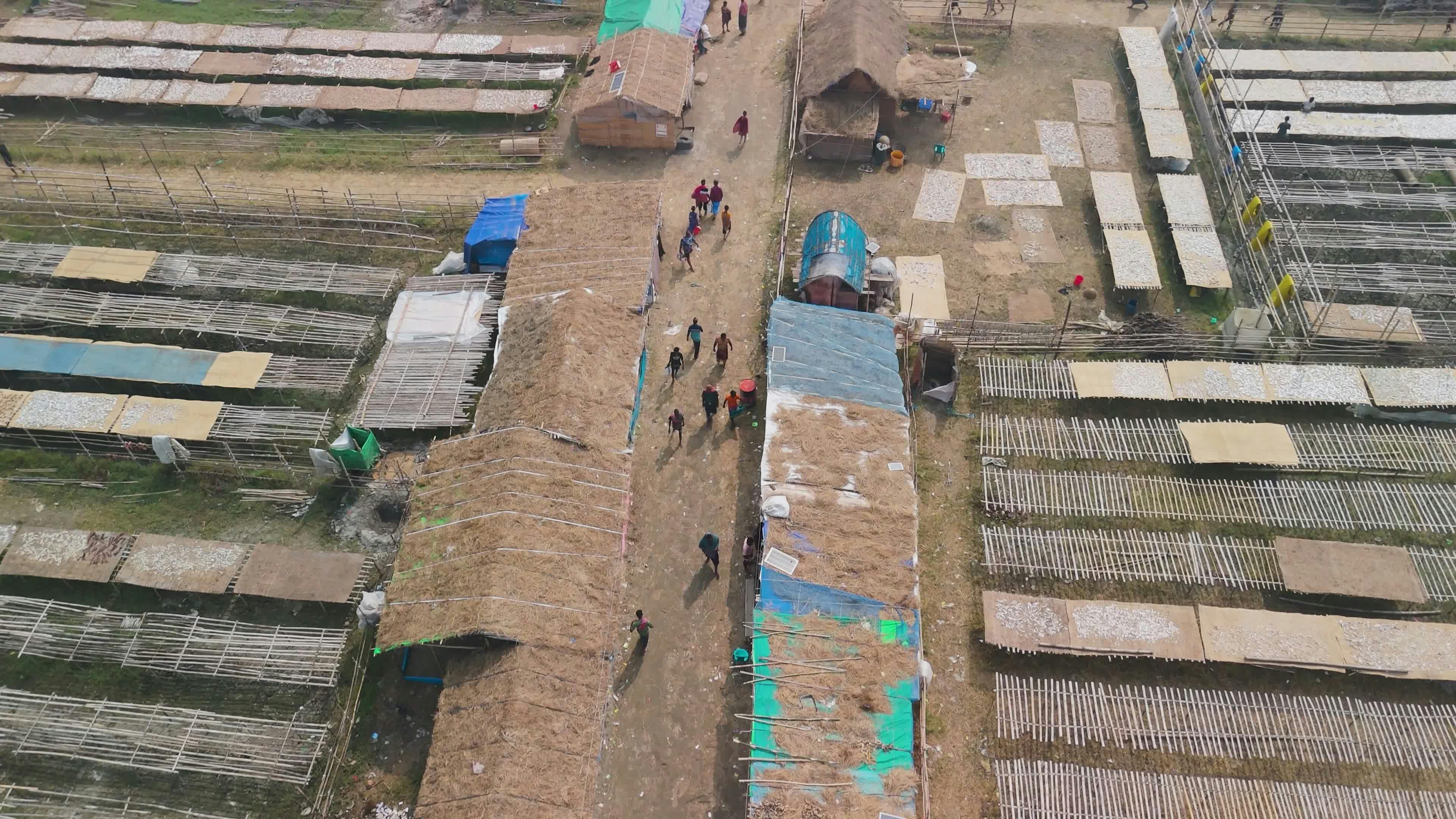 Sundarbans De Bangladesh Videos, Download The BEST Free 4k Stock Video ...