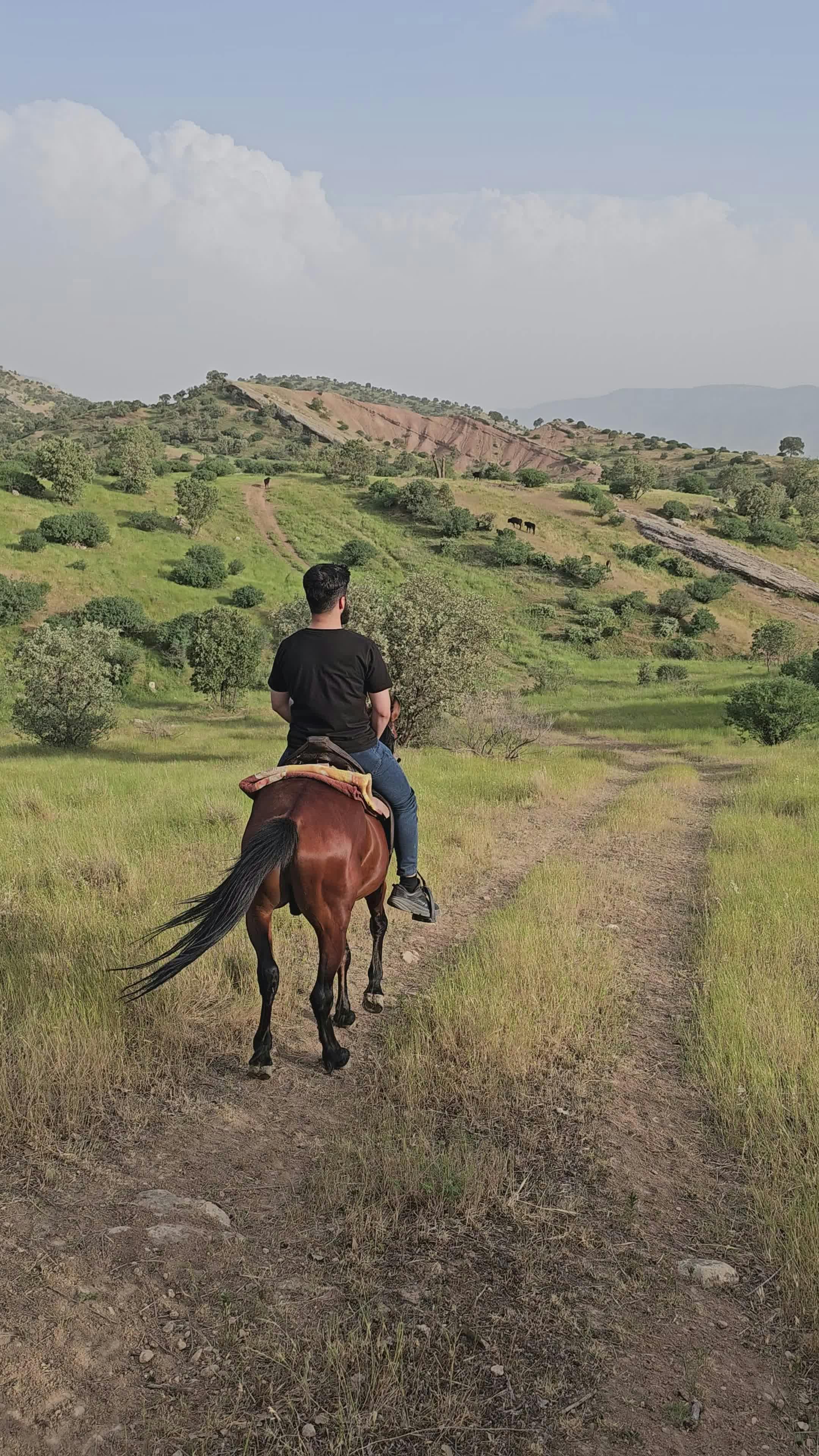 Horseback Riding Through Springtime Hills Free Stock Video Footage ...