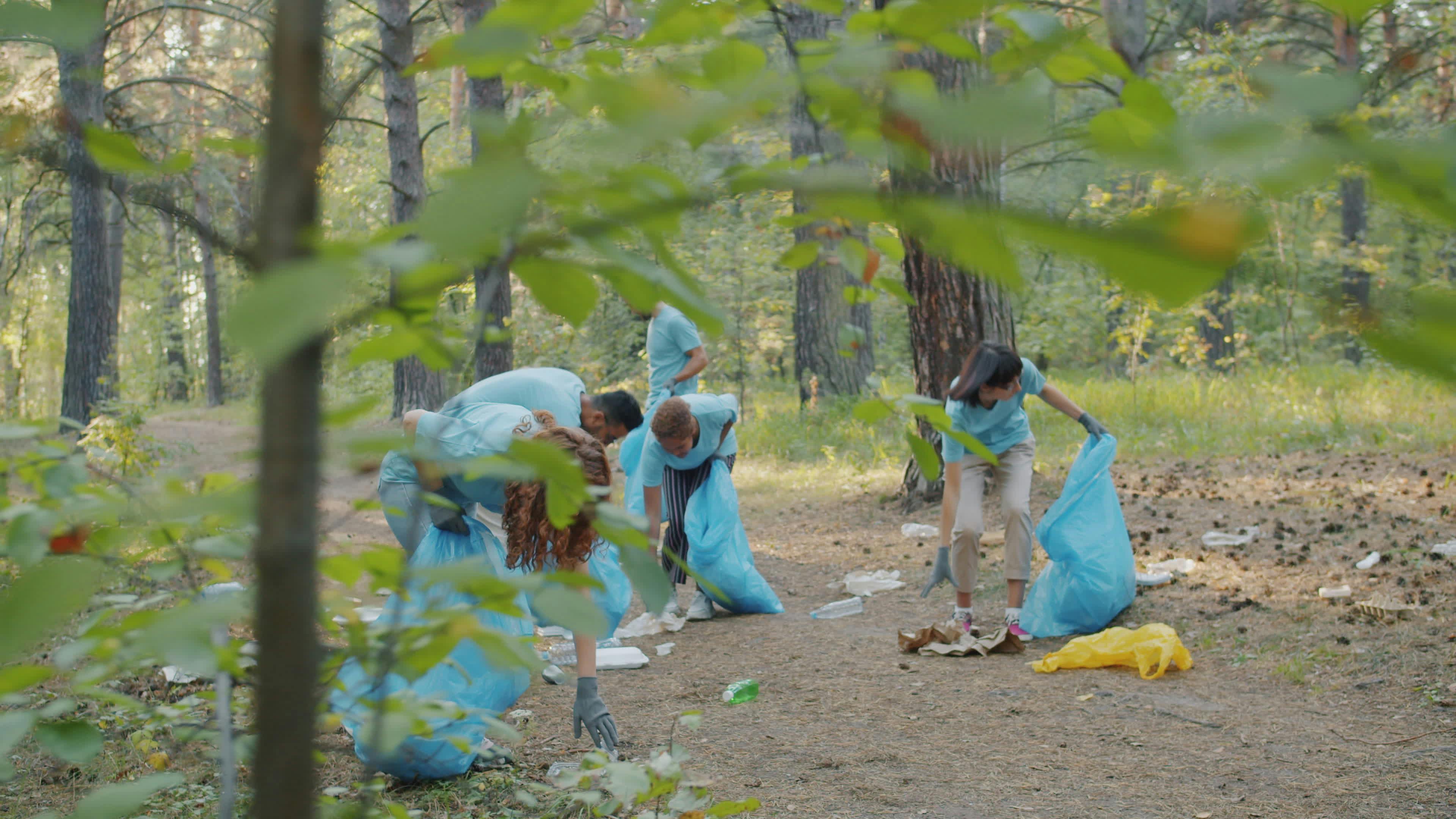 Volunteers Cleaning Forest Litter Environment Free Stock Video Footage ...