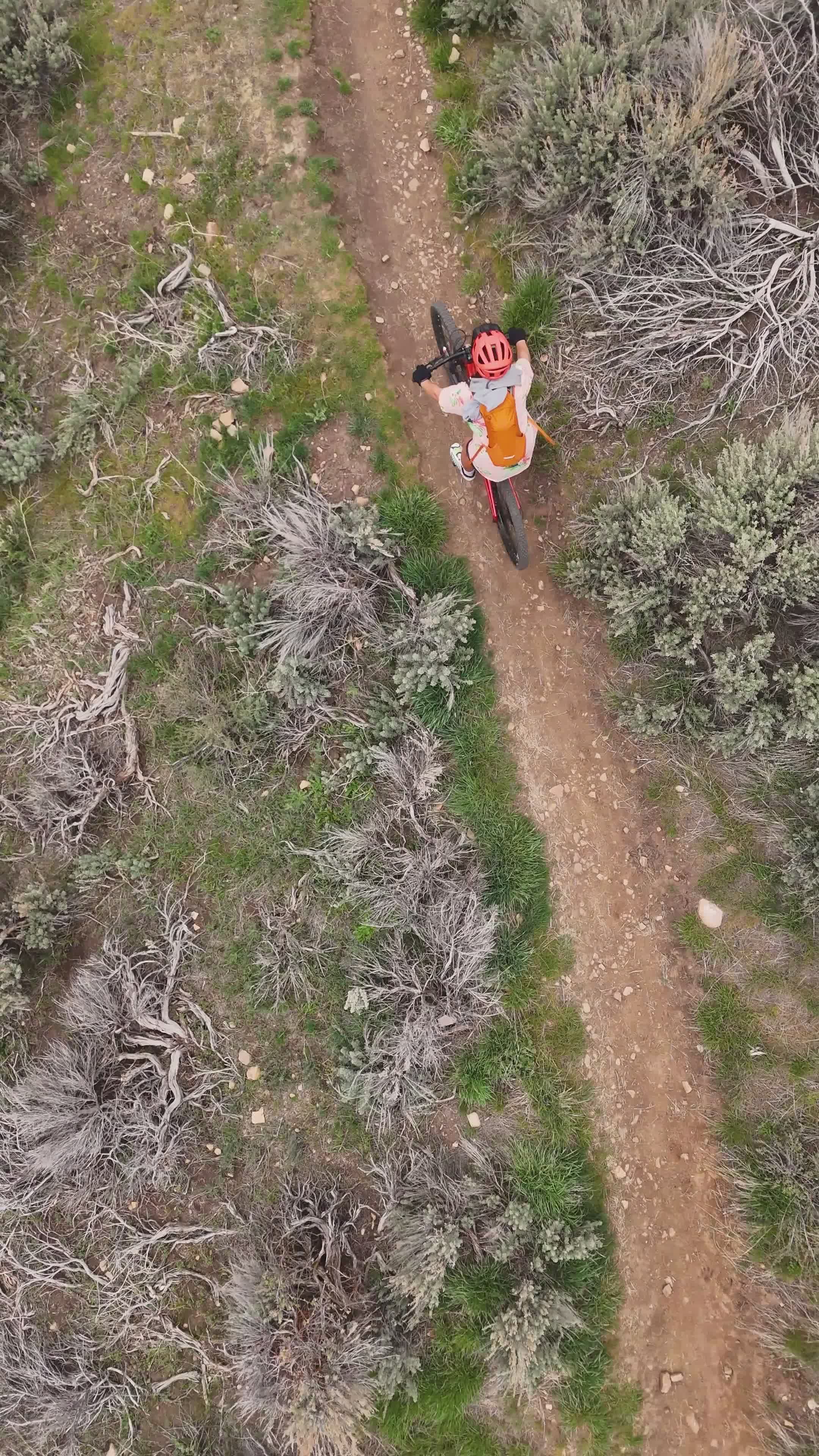 Drone Footage of Mountain Biking Trail in Spring Free Stock Video ...