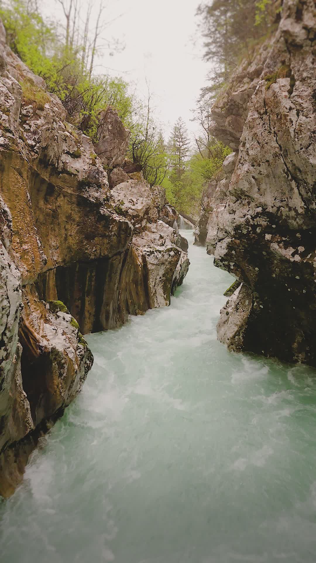 Edit