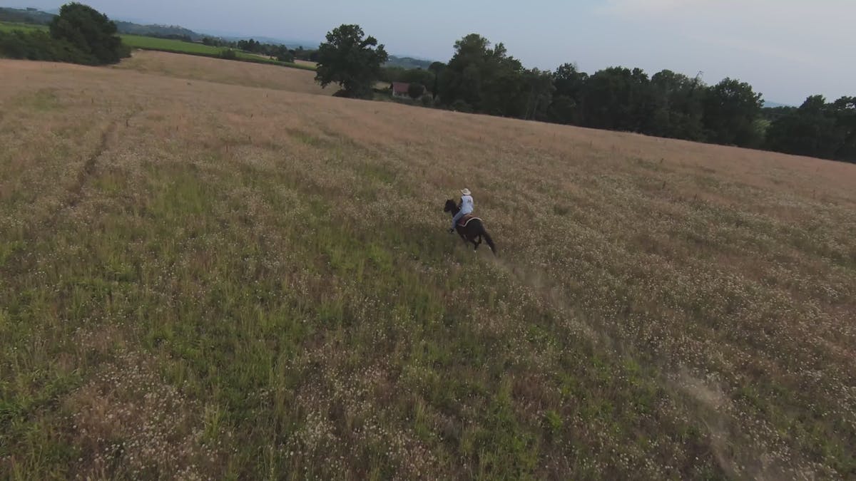 Girl+Rides+Symbian Videos, Download The BEST Free 4k Stock Video ...