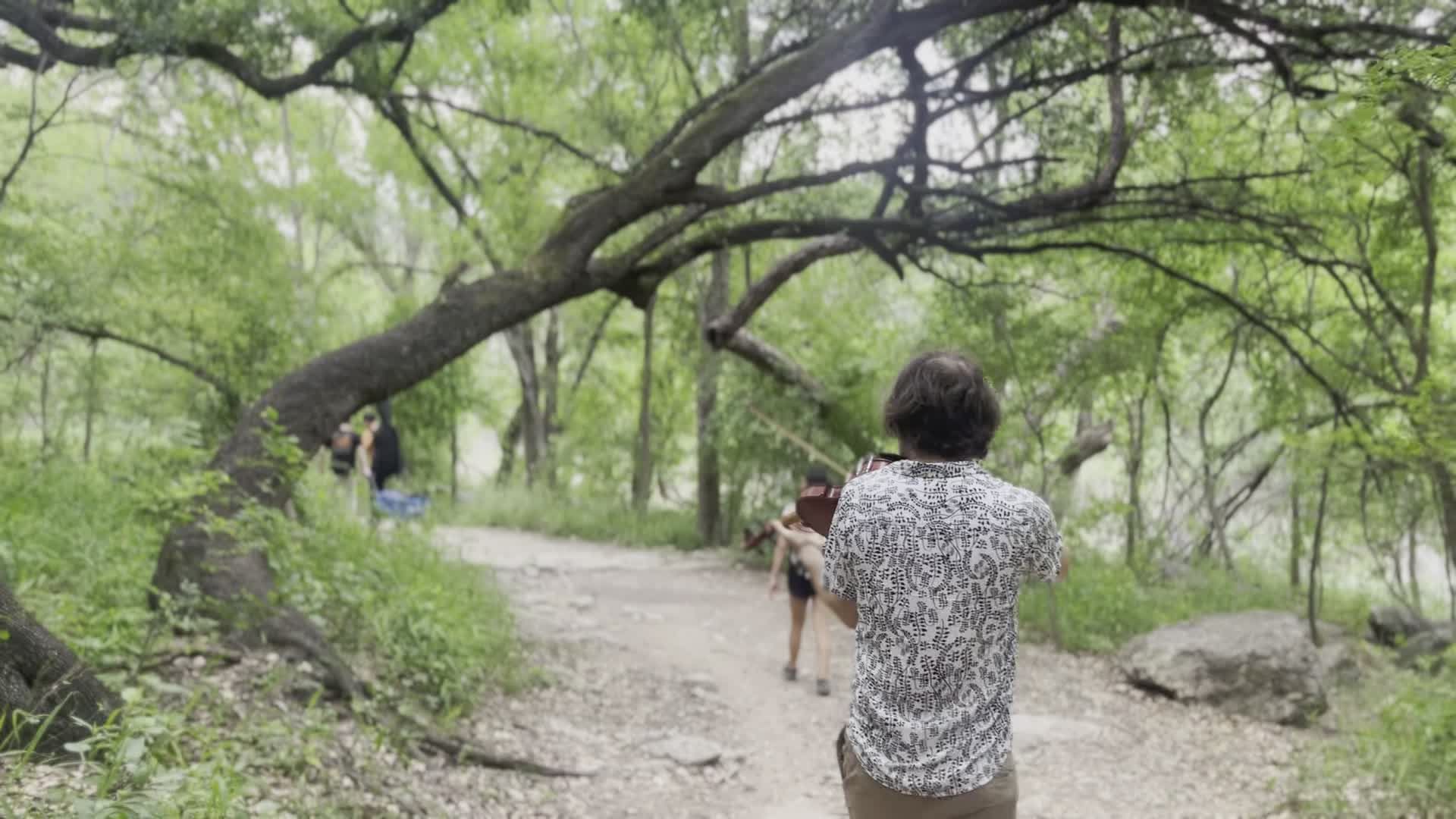 Open-Air Violin Performance in a Forest Path Free Stock Video Footage ...