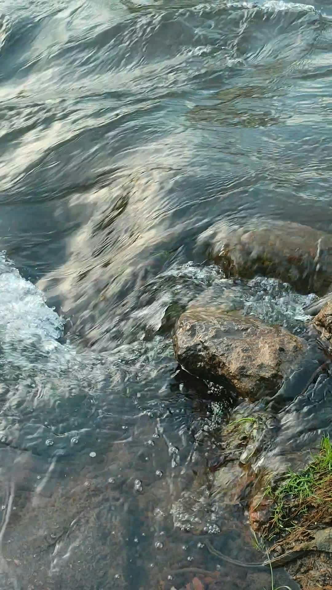 Liv Pure Videos, Download The BEST Free 4k Stock Video Footage & Liv ...