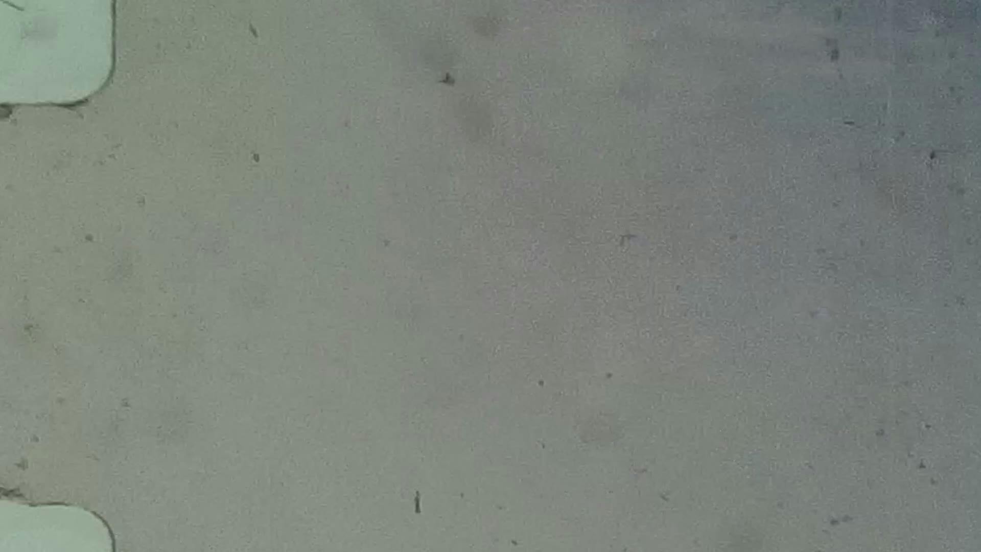 Cheekykatx+Recordings Videos, Download The BEST Free 4k Stock Video ...