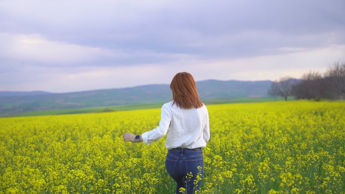 Bely+Belinda+Shiny+Flowers Videos, Download The BEST Free 4k Stock ...