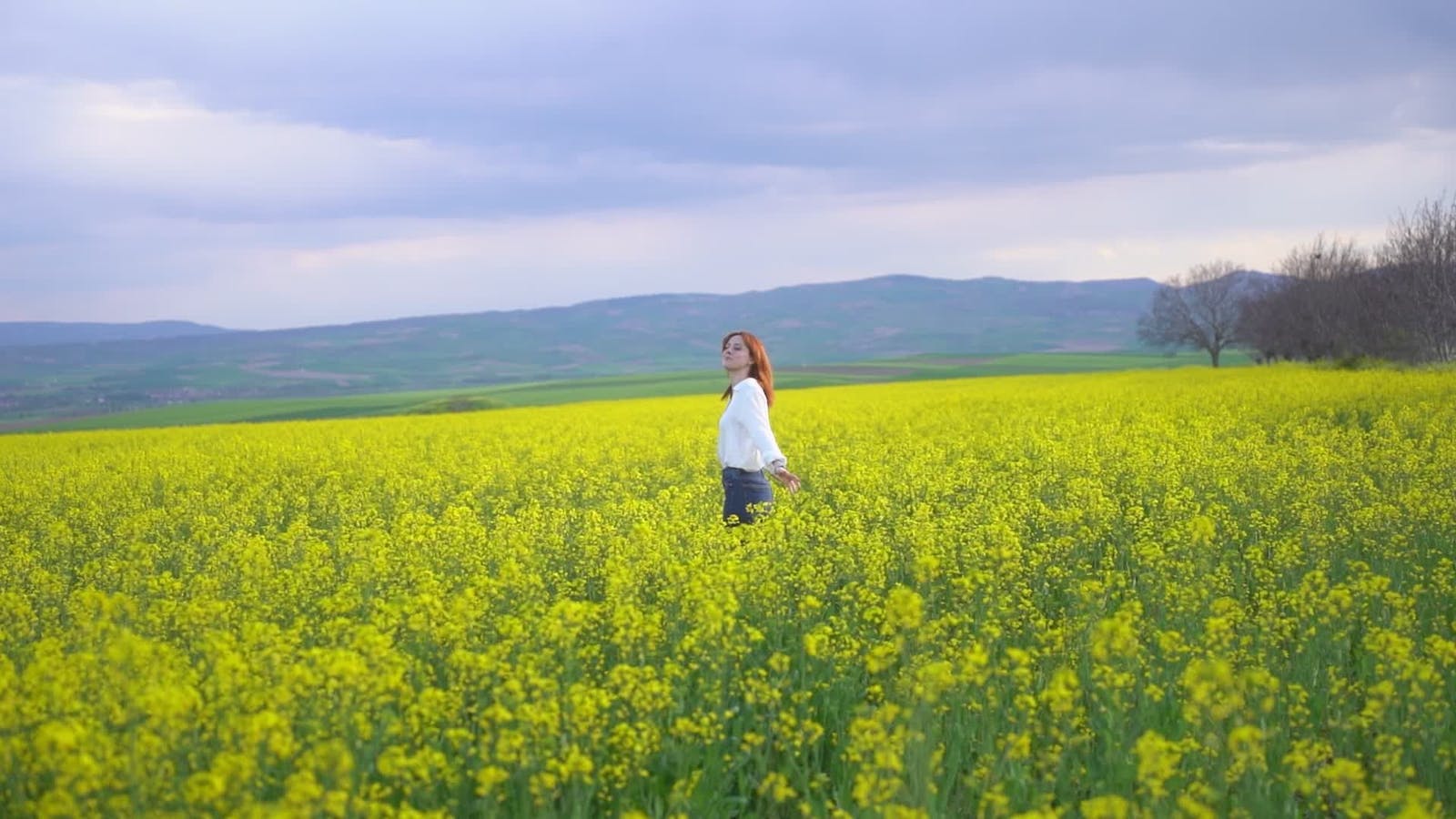 Bely+Belinda+Shiny+Flowers Videos, Download The BEST Free 4k Stock ...