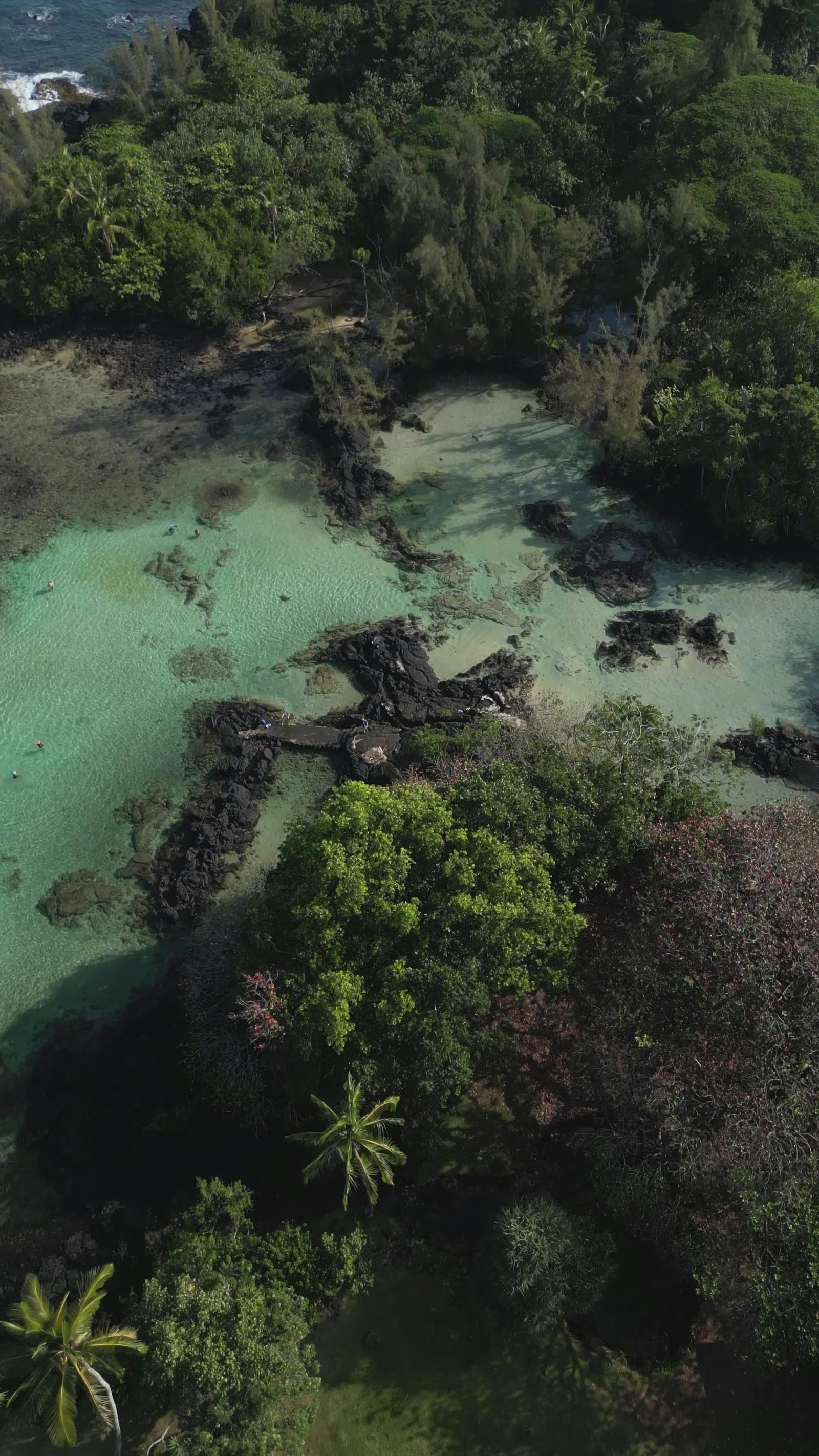 Net+Video+Calendar+Girls+Auditions Videos, Download The BEST Free 4k ...