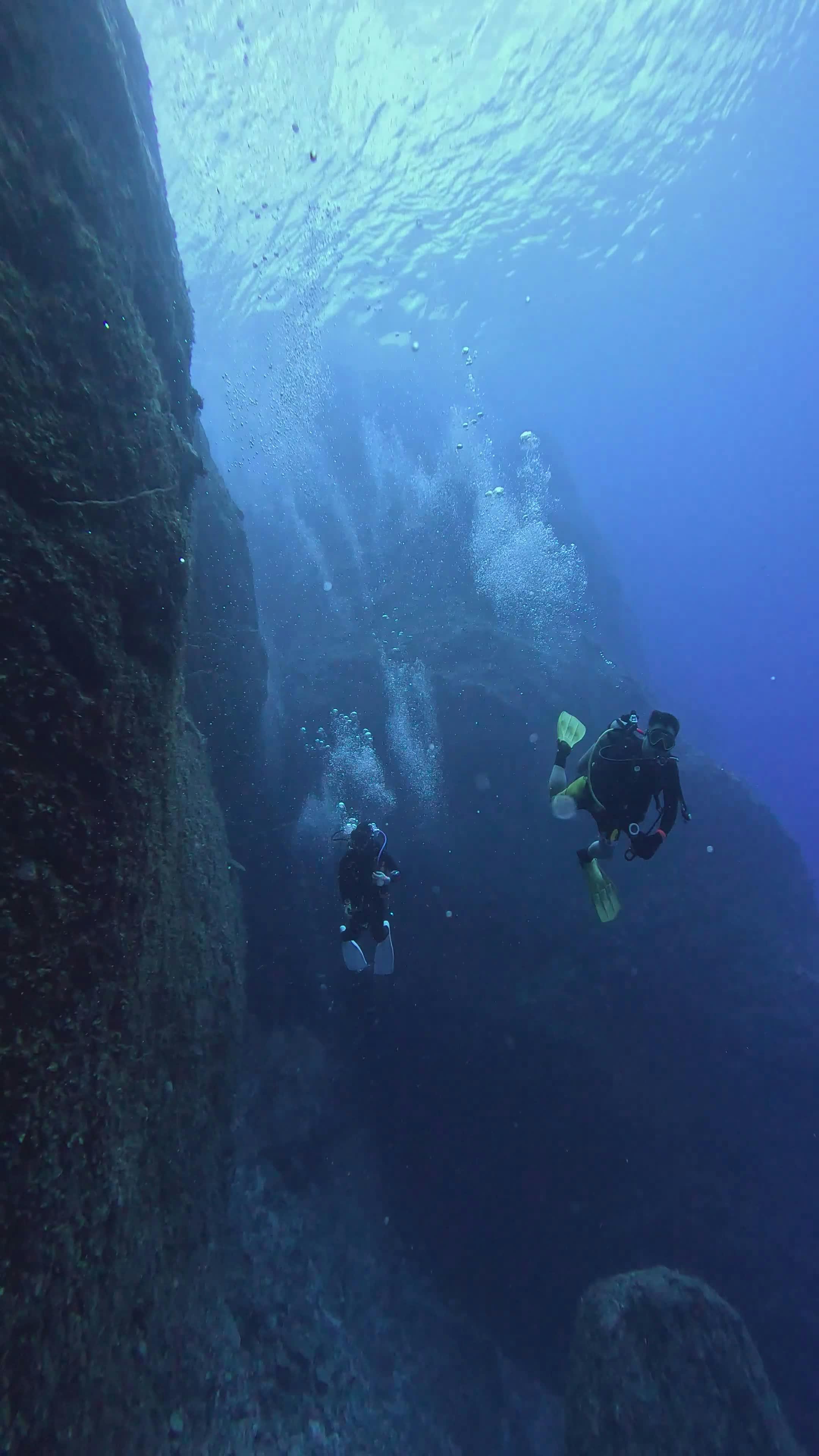 Scuba Divers Exploring Underwater Cliff Free Stock Video Footage ...