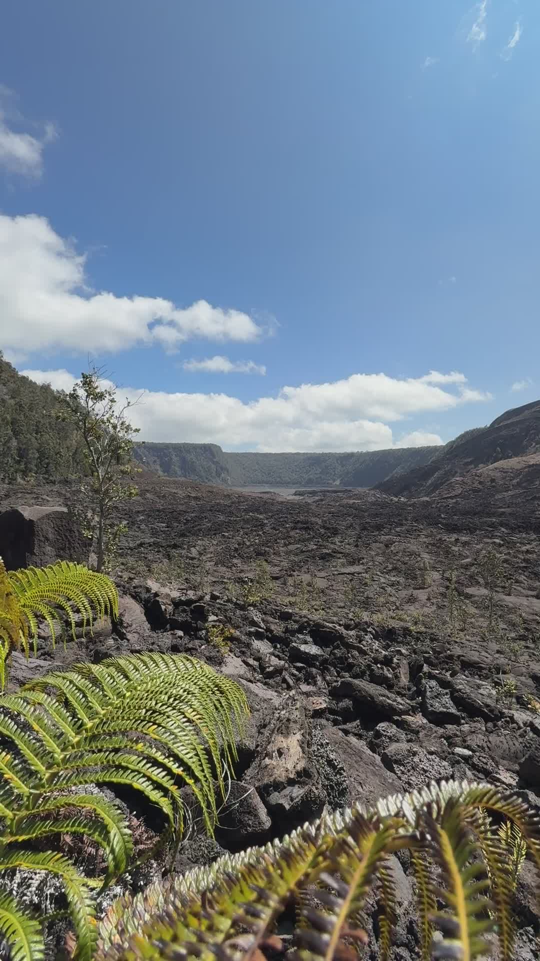 Hawaiian Landscape Videos, Download The BEST Free 4k Stock Video ...