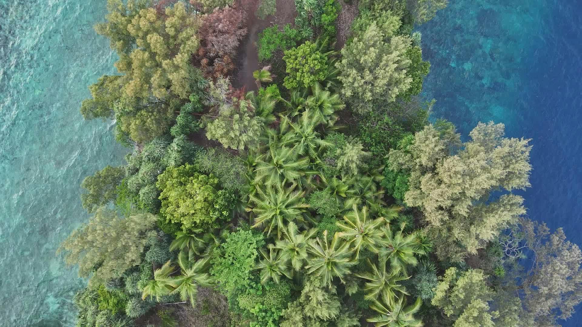 Cute+Girl+On+Symbian Videos, Download The BEST Free 4k Stock Video ...