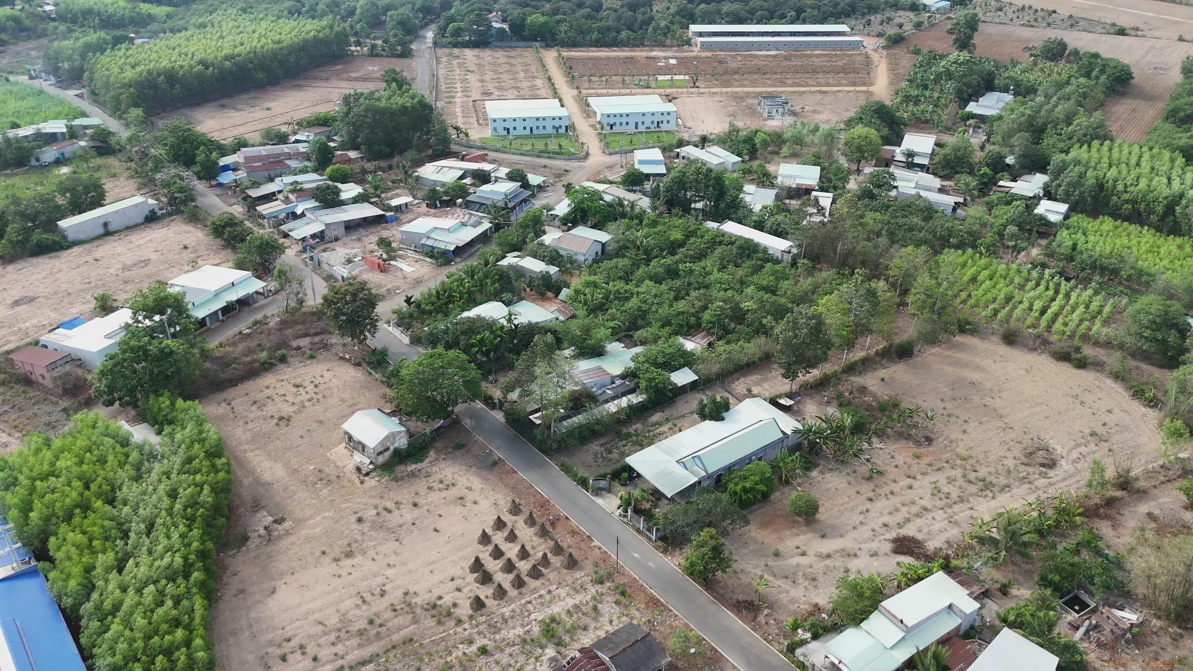 Boxwood Bushes Videos, Download The BEST Free 4k Stock Video Footage ...