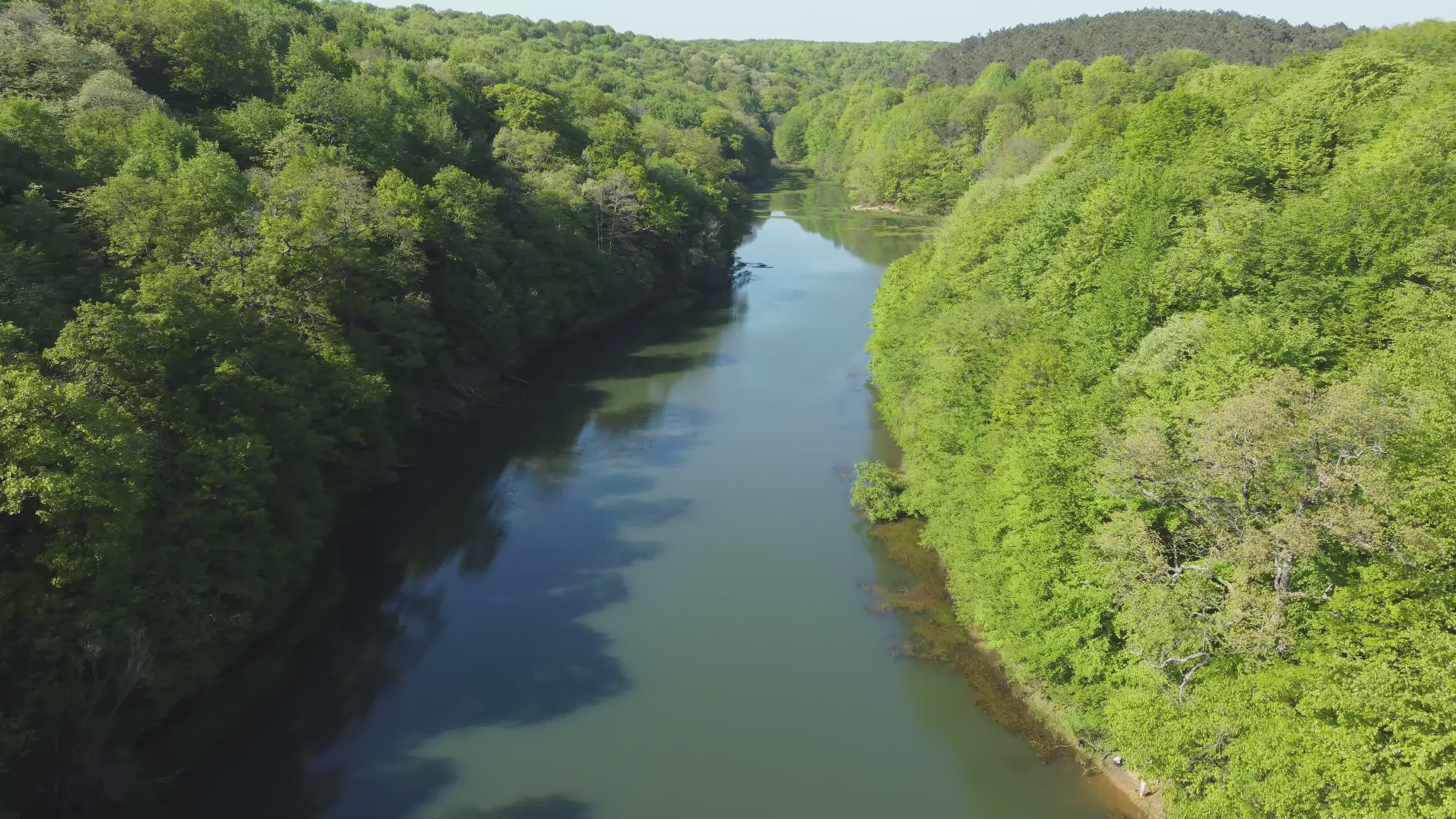 Aerial View of Lush Green River Landscape Free Stock Video Footage ...