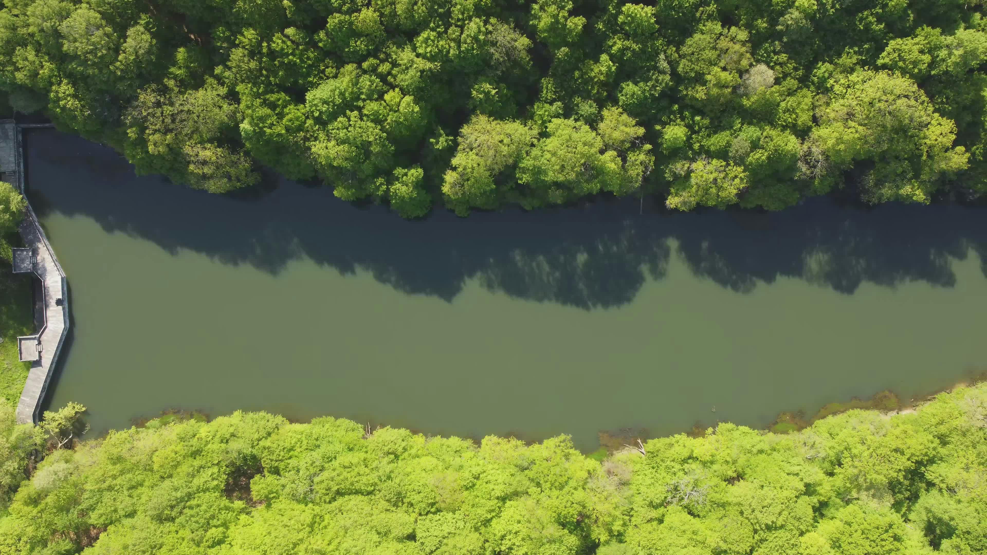 Desi+Moti+Gand+Wali+Hindi+Hd+Bf Videos, Download The BEST Free 4k Stock ...