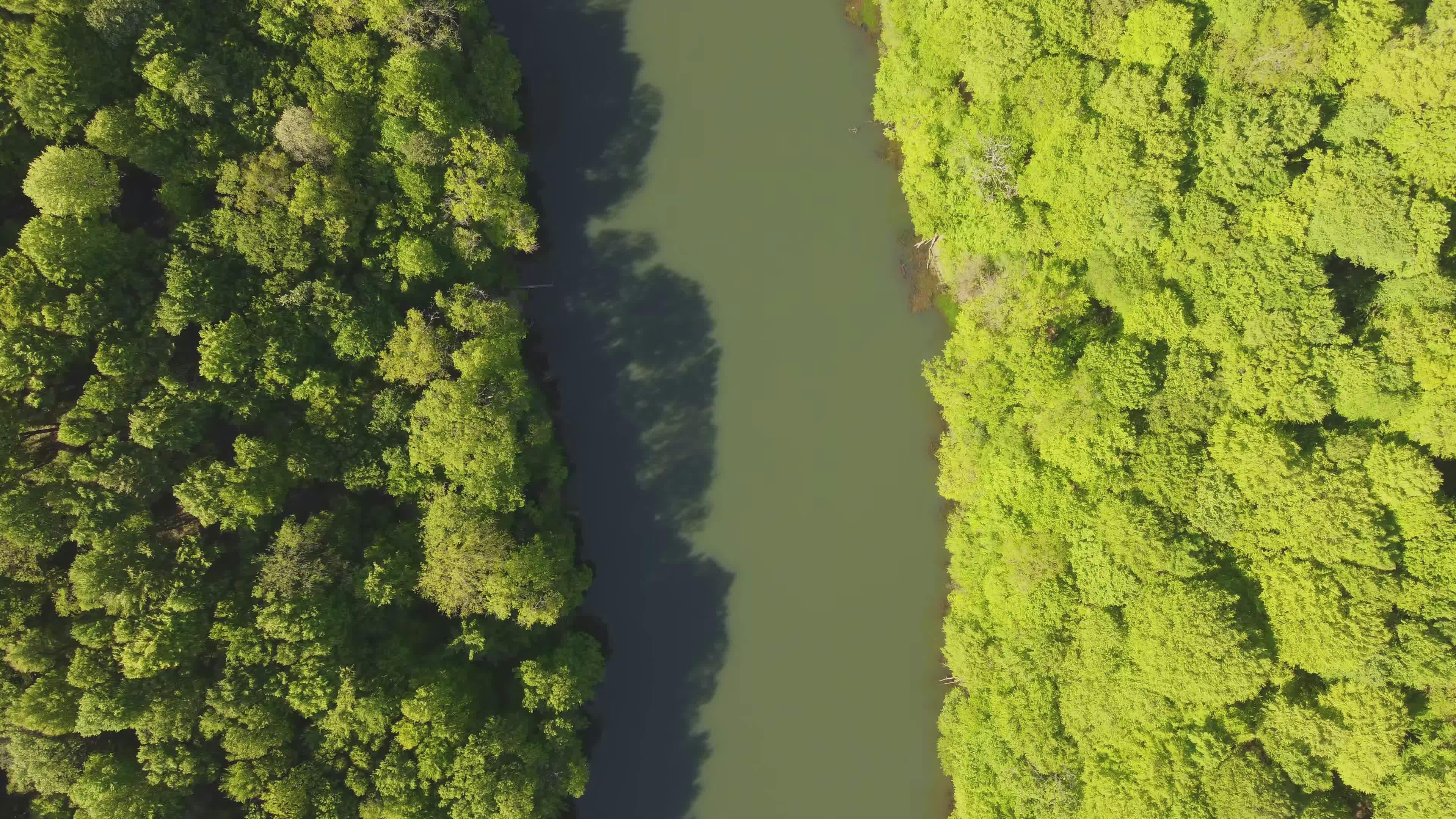 Seasons 4k Laptop Wallpaper Videos, Download The BEST Free 4k Stock ...