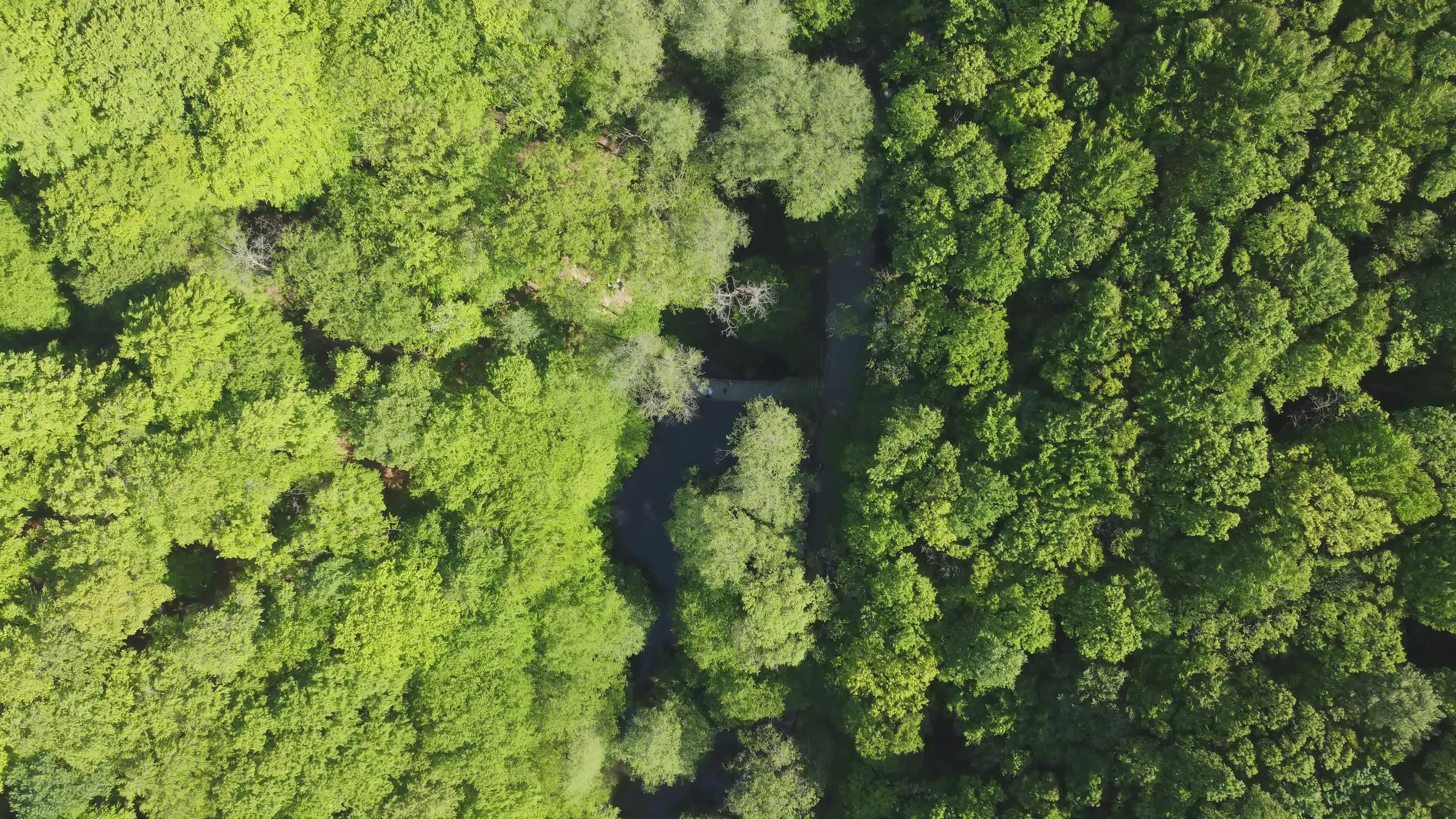 Free No Copyright Textures Videos, Download The BEST Free 4k Stock ...