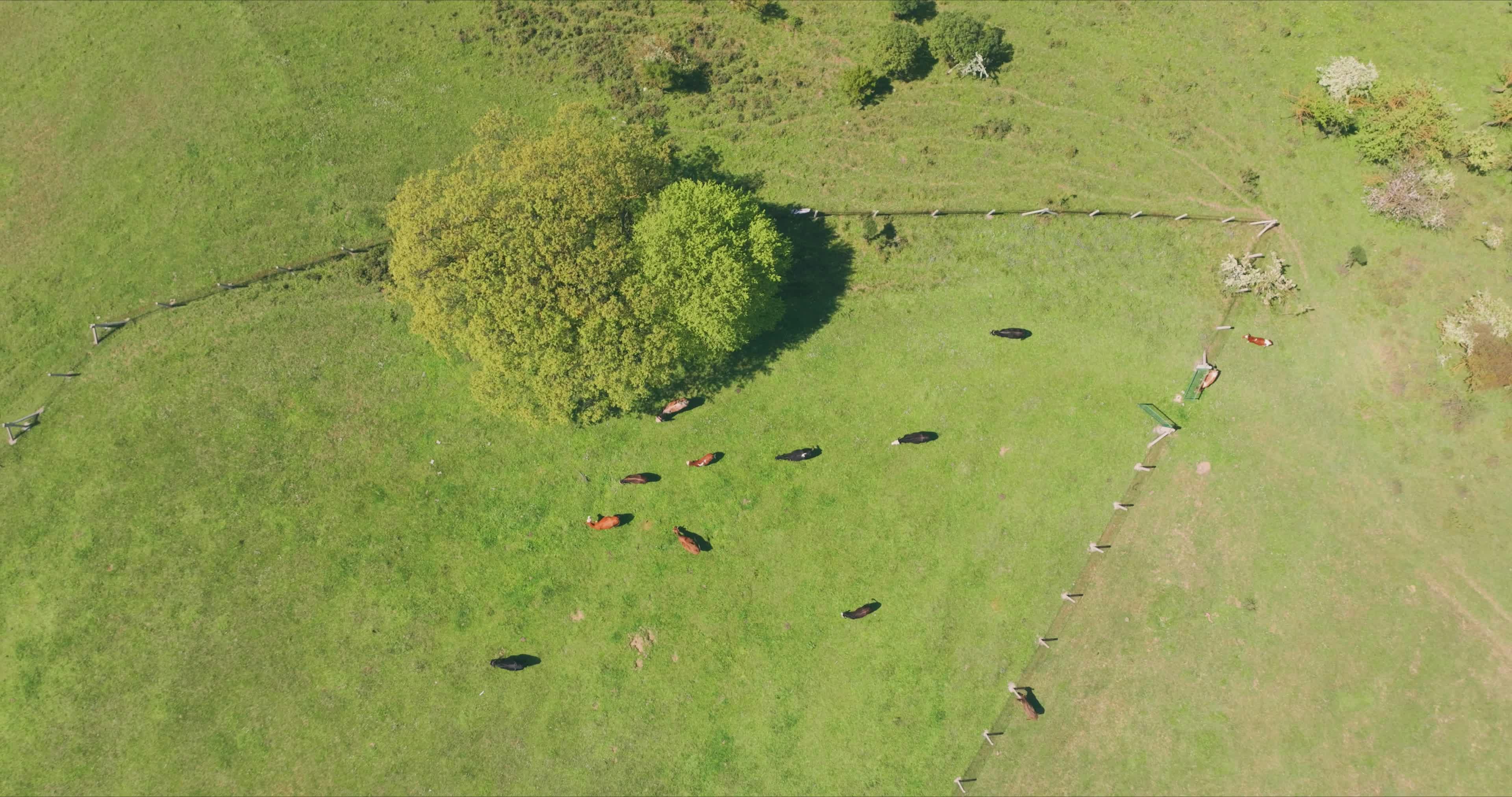 Environmental Manage Videos, Download The BEST Free 4k Stock Video ...