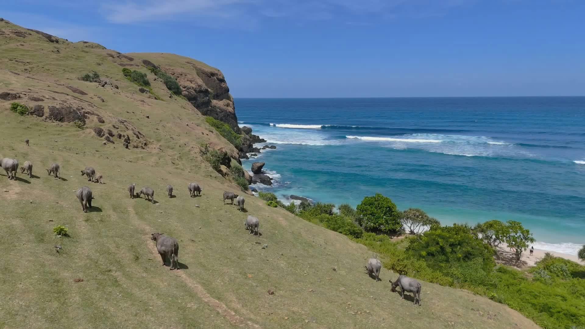 Aerial Photos Nature Videos, Download The BEST Free 4k Stock Video ...