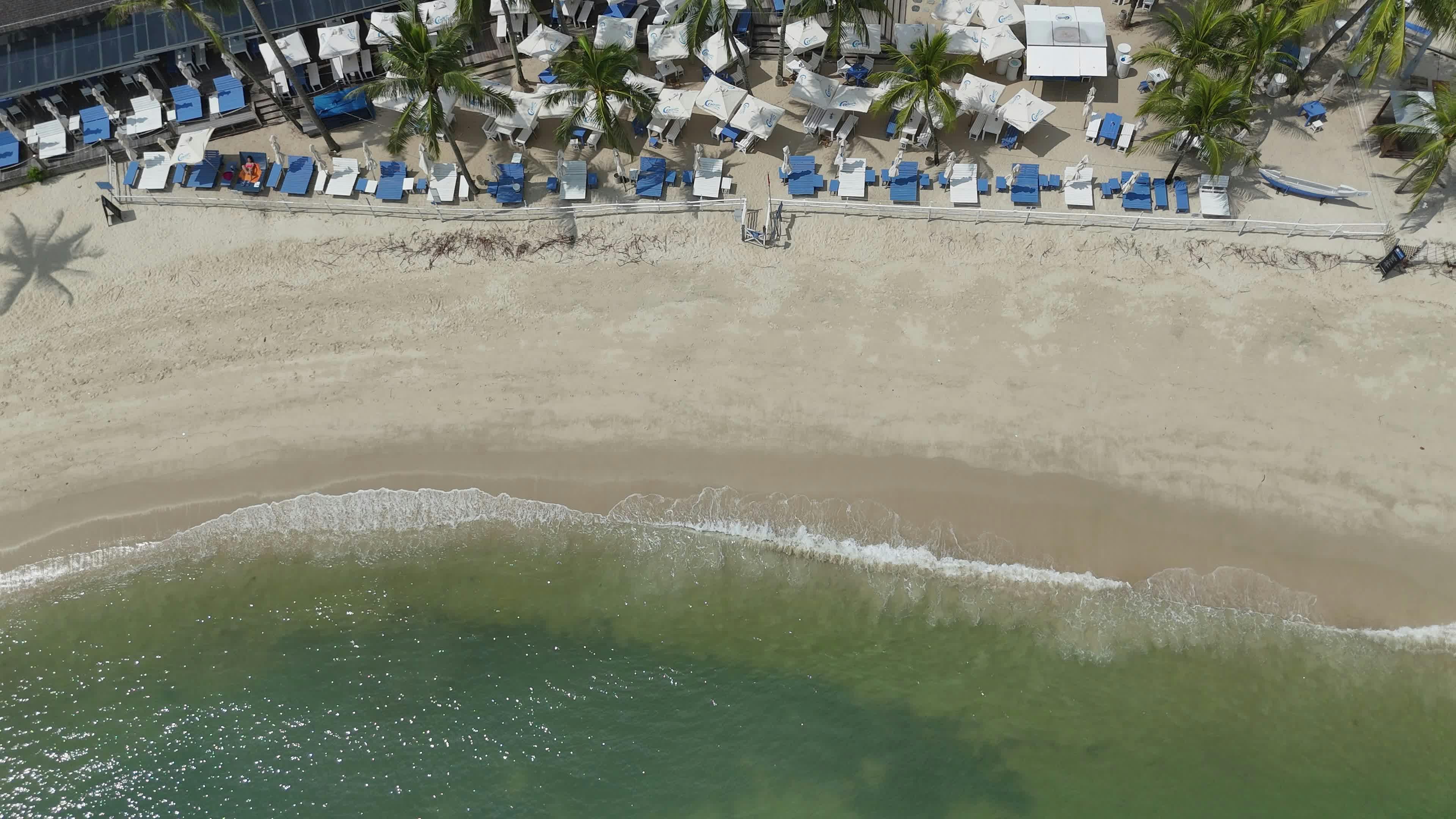 Naughty+America+Step+Mom Videos, Download The BEST Free 4k Stock Video ...