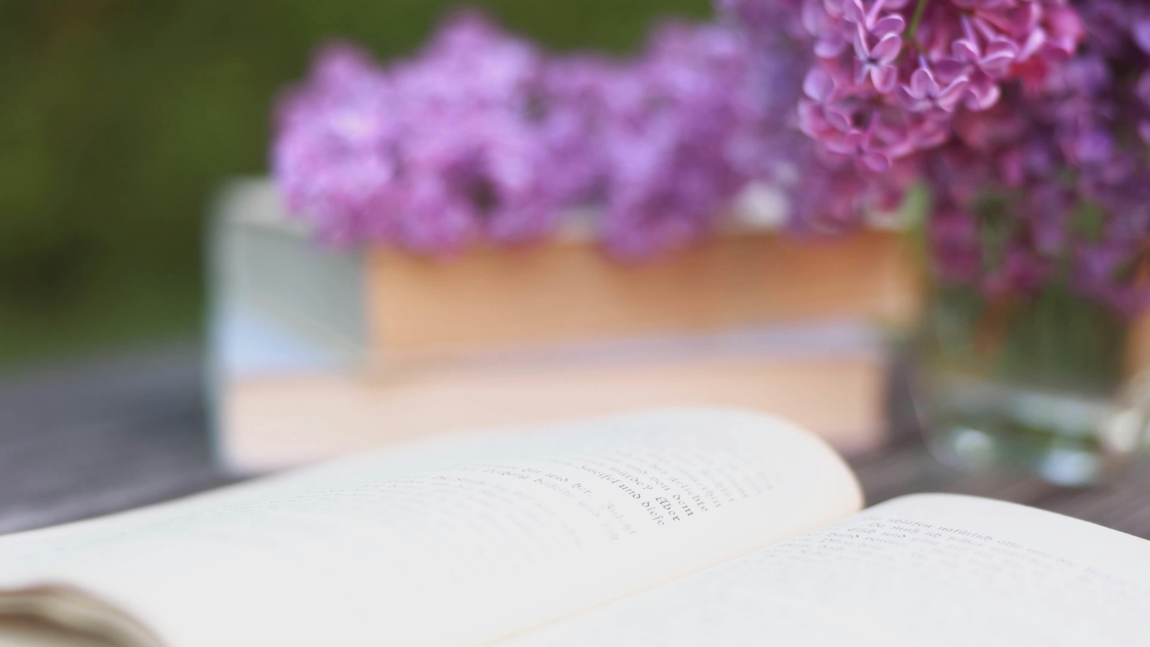 Open Book with Lilacs and Books in Spring Free Stock Video Footage ...