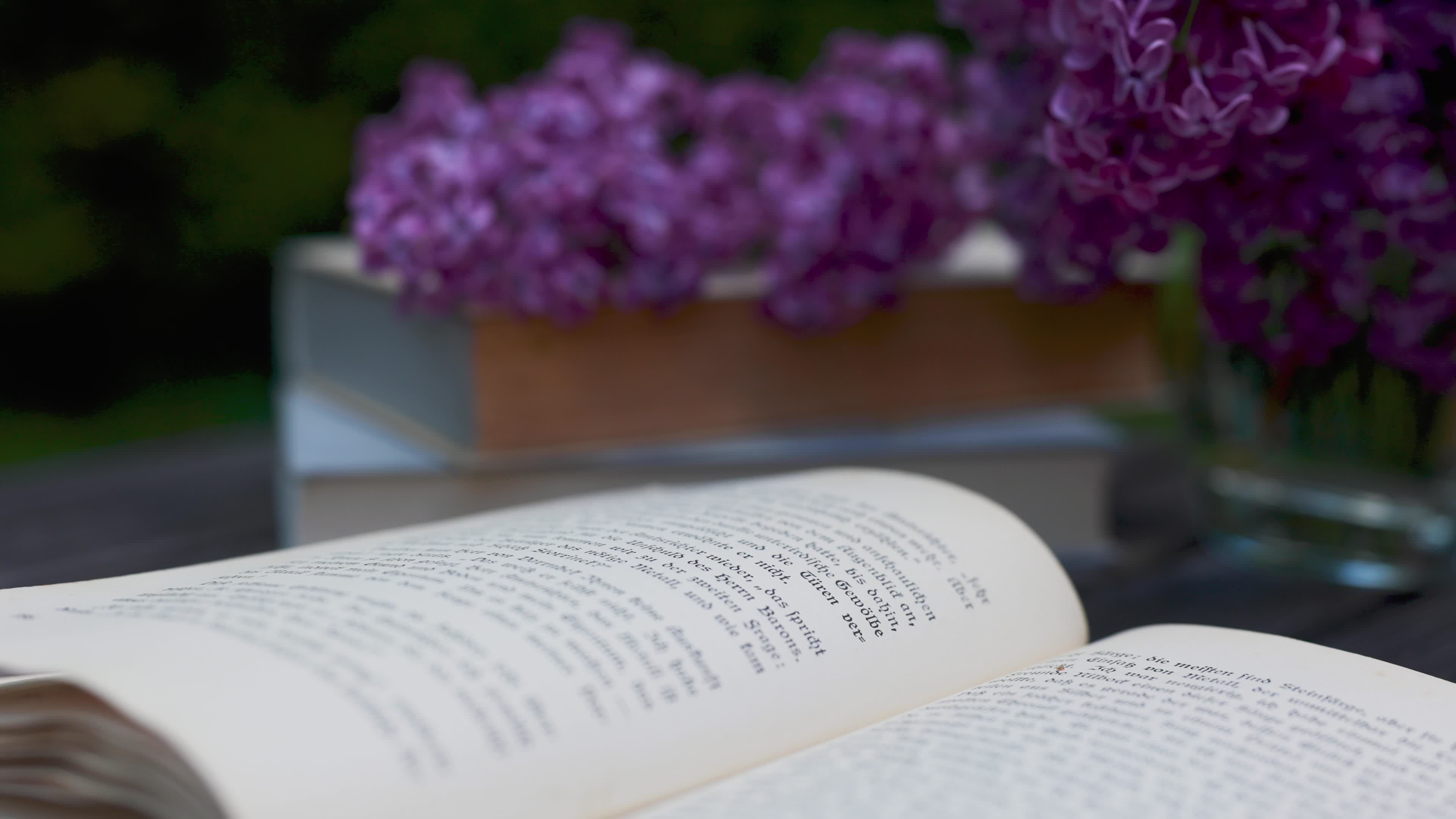 Open Book with Lilac Flowers Outdoors Free Stock Video Footage, Royalty ...