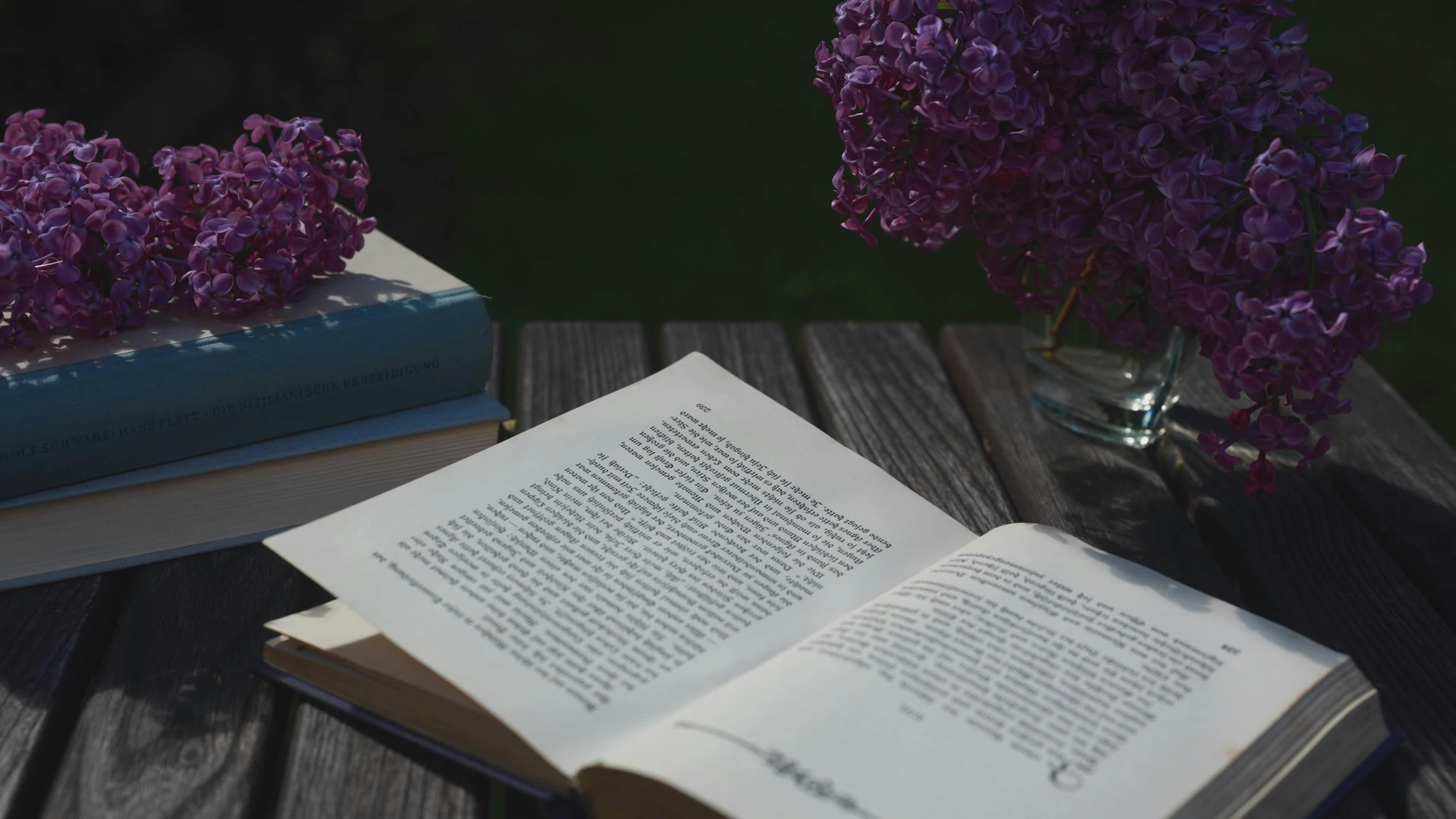 Pages Of A Book Videos, Download The BEST Free 4k Stock Video Footage ...