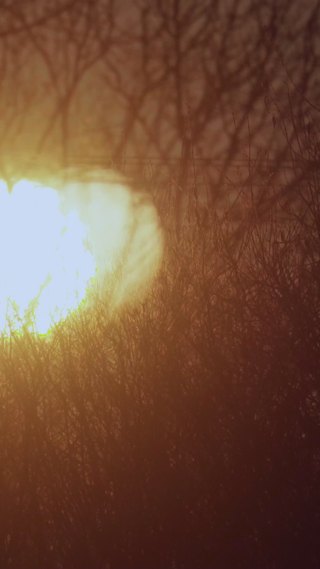 Triple Lens Videos, Download The BEST Free 4k Stock Video Footage ...