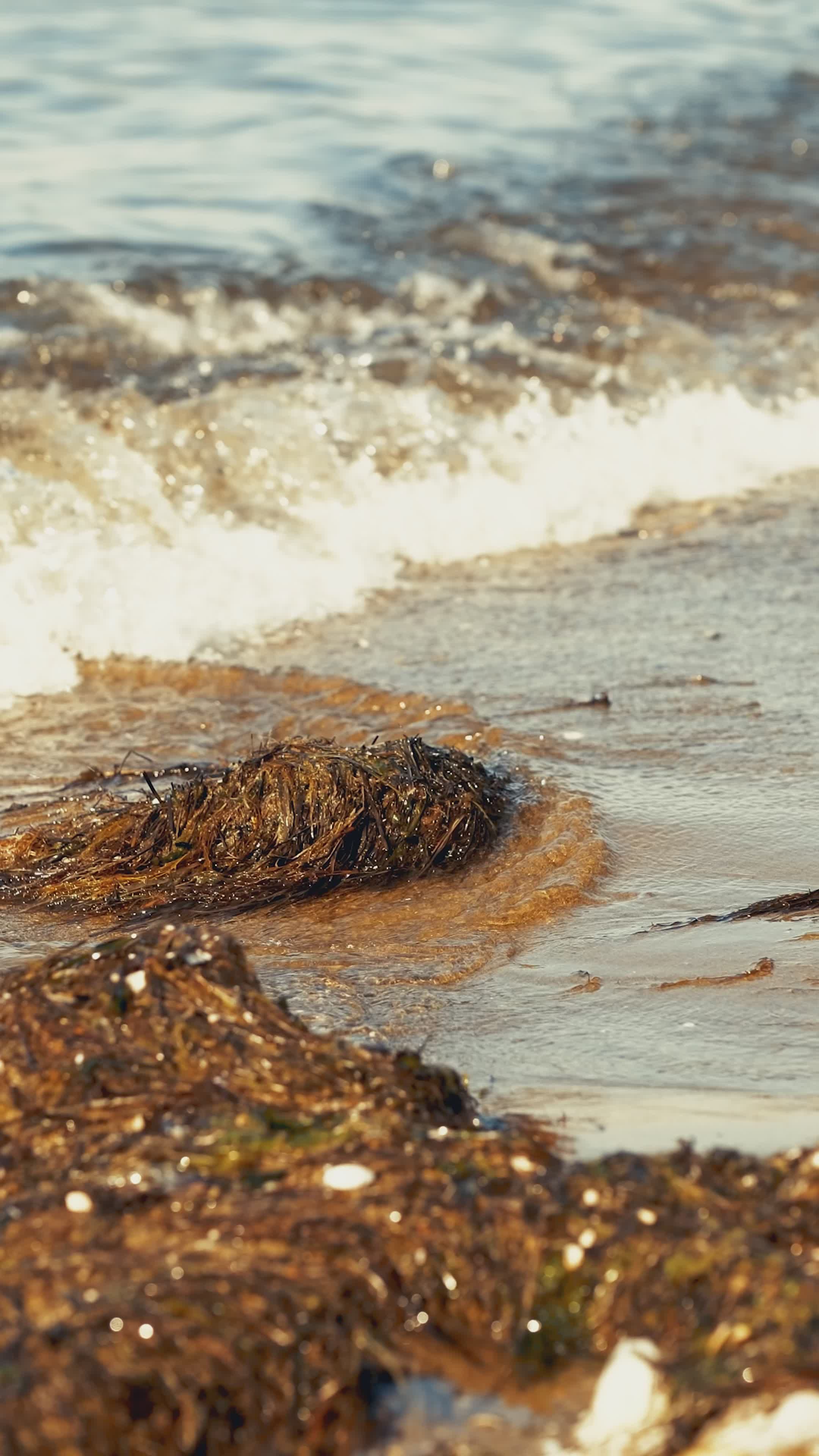 Calming Ocean Waves Lapping on Rocky Shore Free Stock Video Footage ...