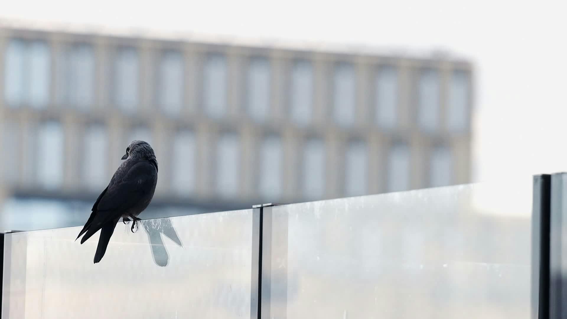 Lyric Background Videos, Download The BEST Free 4k Stock Video Footage ...