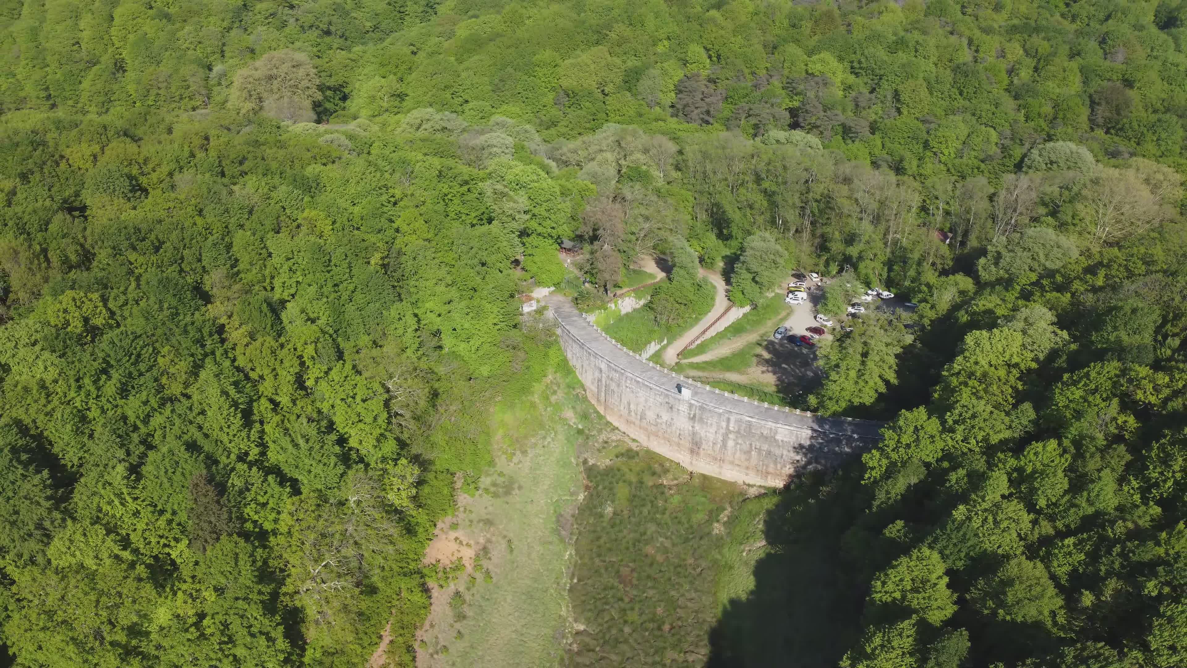 Vista Aérea Del Exuberante Paisaje Forestal Verde · Vídeo de stock gratuito