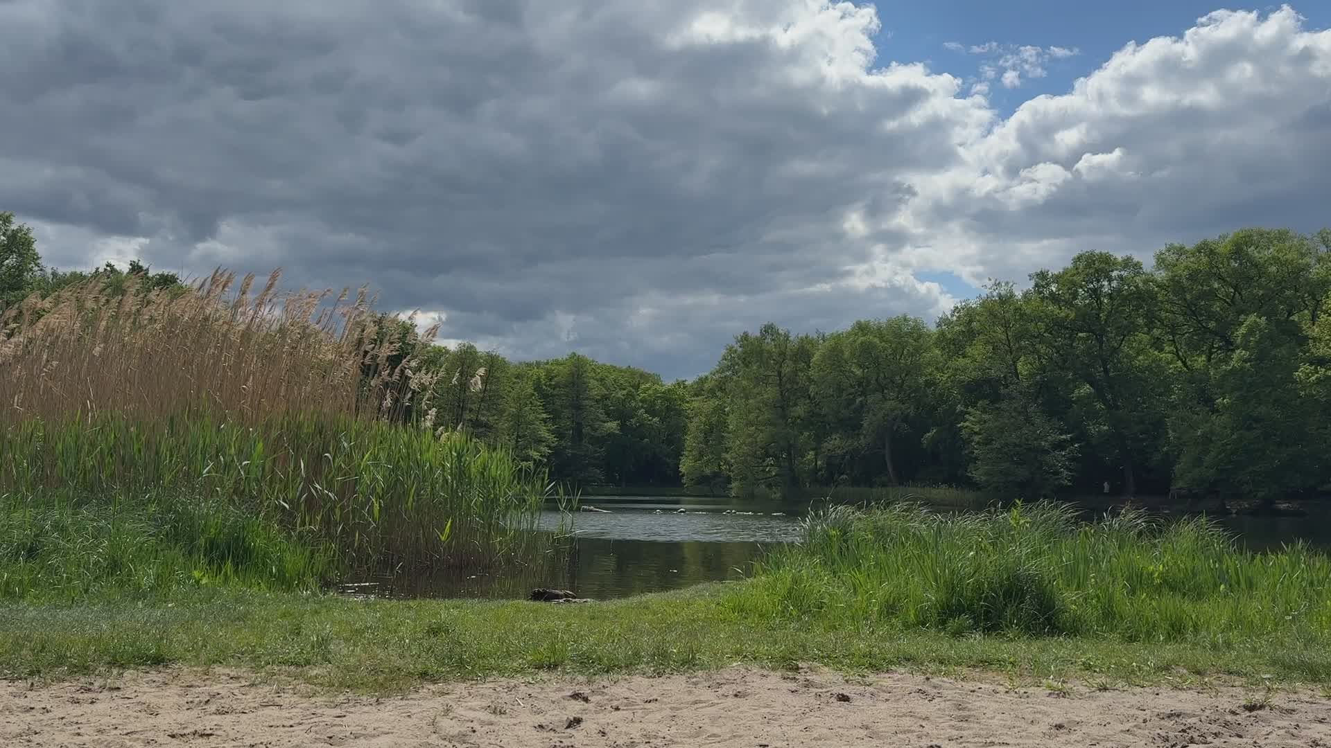 Peaceful Summer Lakeside Landscape Free Stock Video Footage, Royalty ...