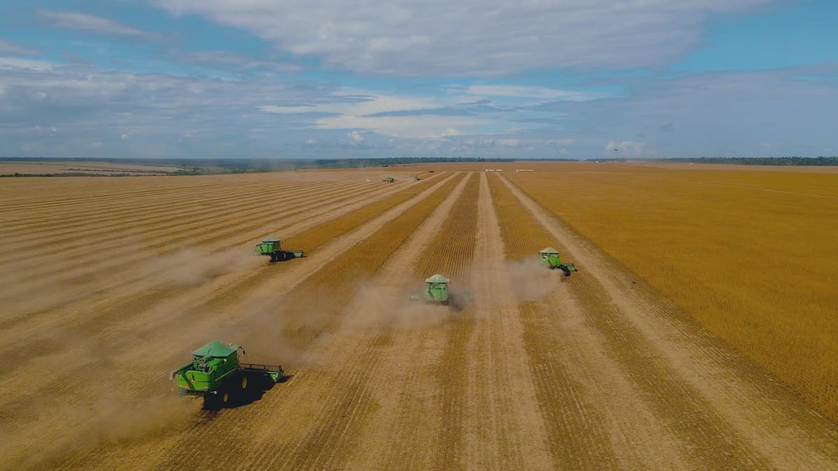 Very+Old+Granny+Opens+Her+Slack+Fanny+Wide Videos, Download The BEST ...