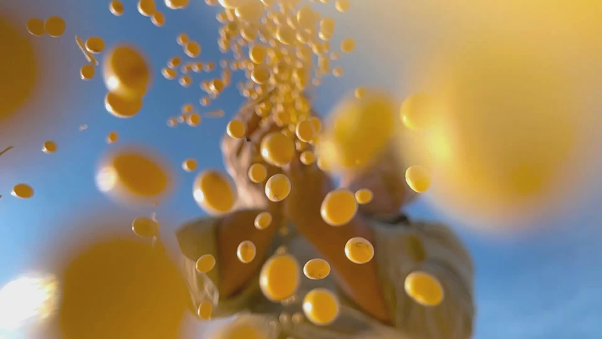 +Latina+Back+Shots Videos, Download The BEST Free 4k Stock Video ...