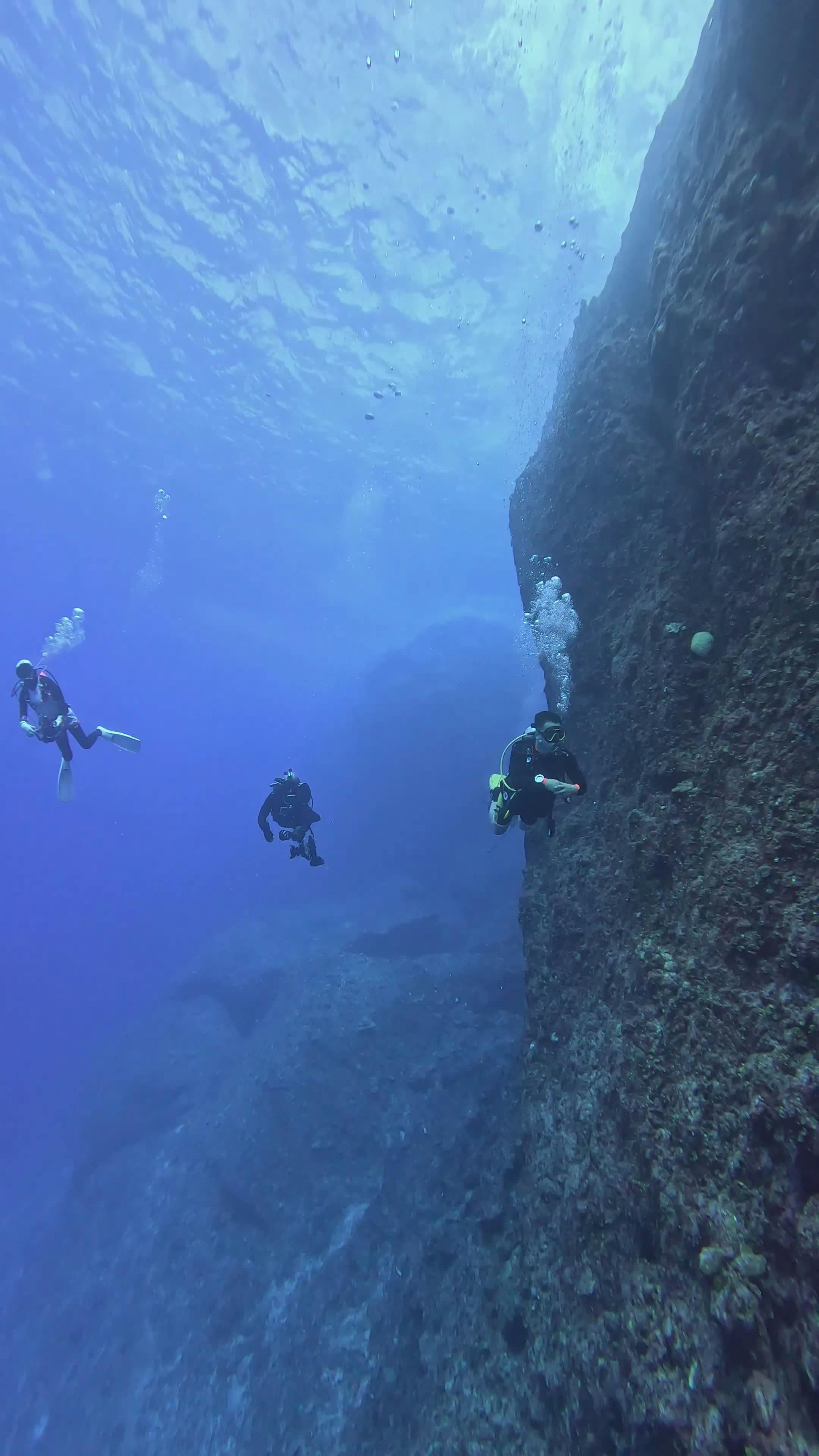 Scuba Divers Exploring Vibrant Coral Reef Free Stock Video Footage ...