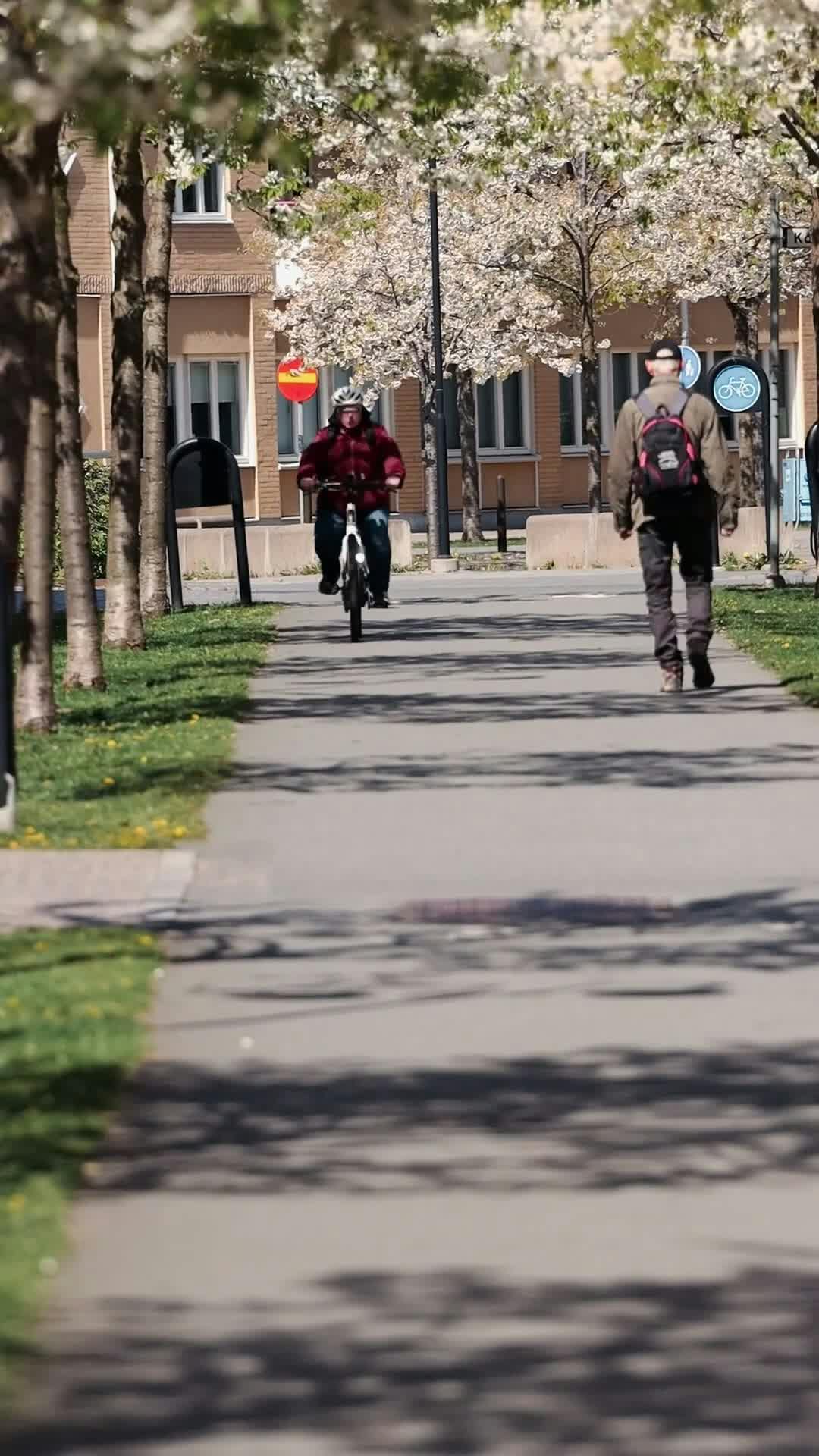 Spring Urban Cycling and Walking Scene Free Stock Video Footage ...