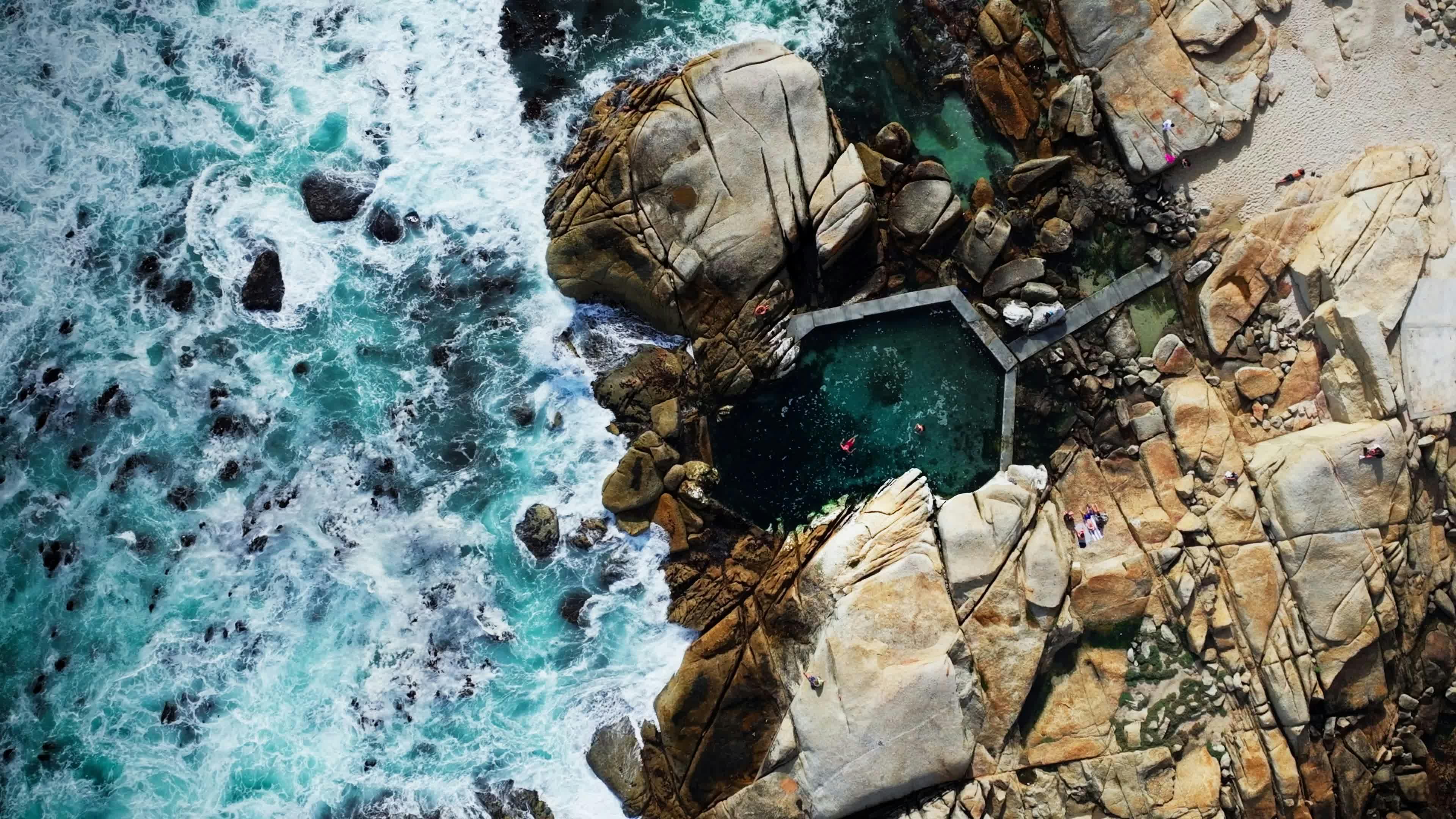 Tidal Pool Videos, Download The BEST Free 4k Stock Video Footage ...