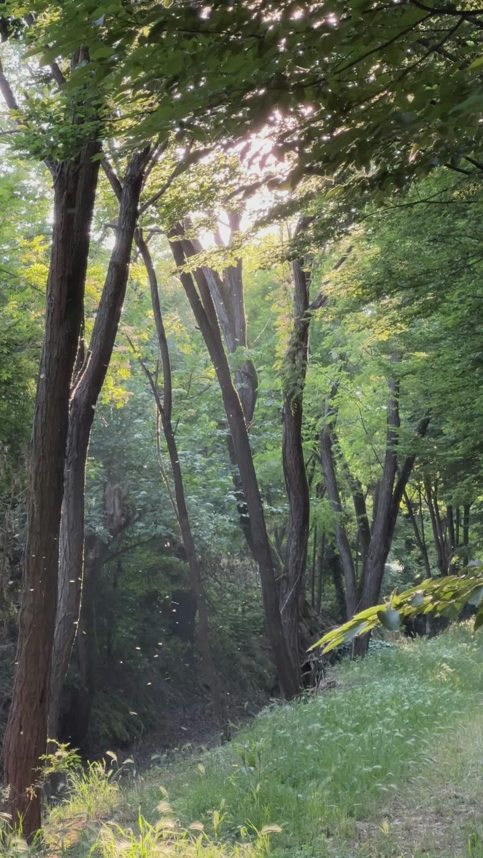 Omegle Video Videos, Download The BEST Free 4k Stock Video Footage ...