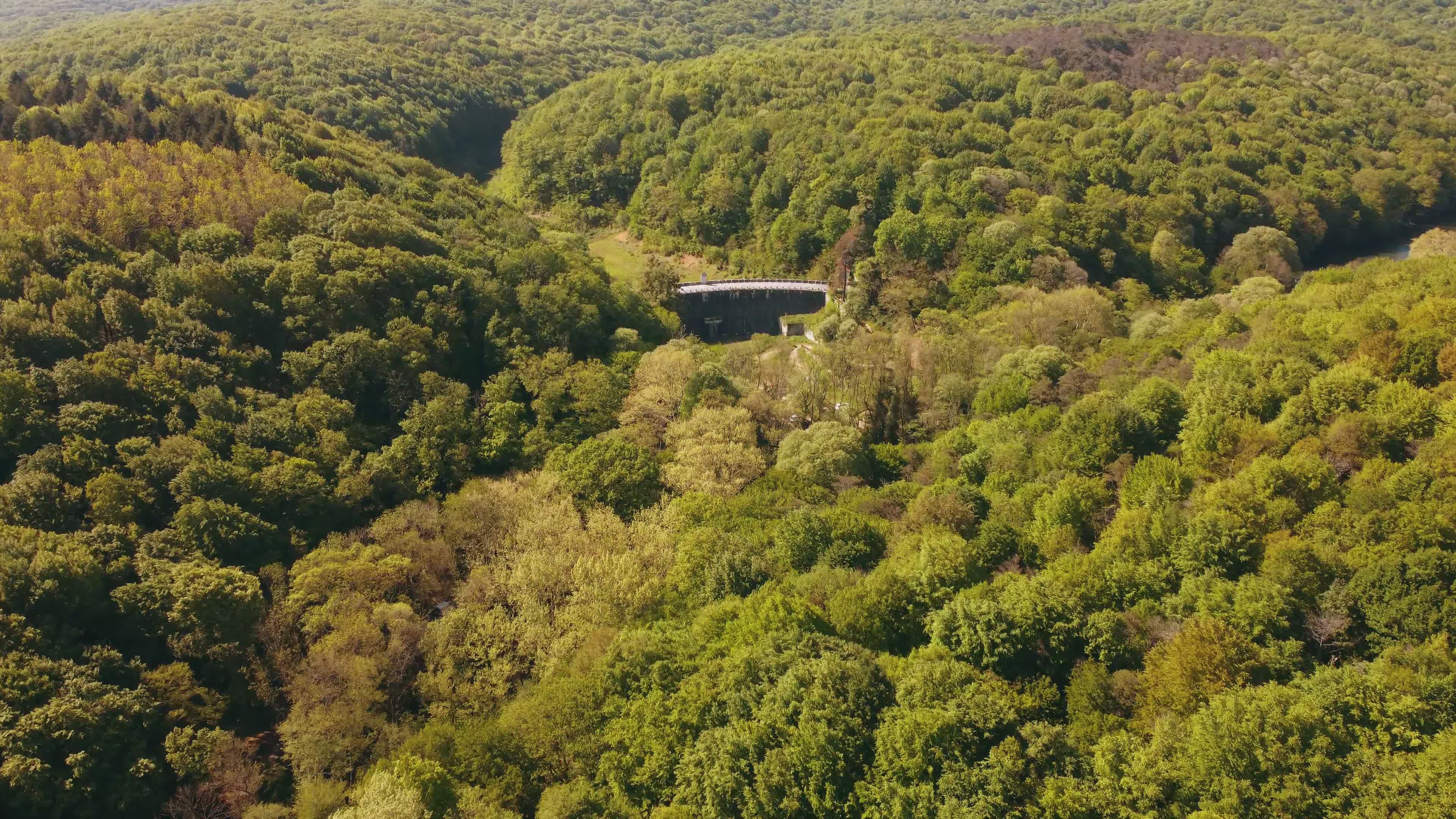 Vista Aérea De Un Denso Paisaje Forestal Verde · Vídeo de stock gratuito