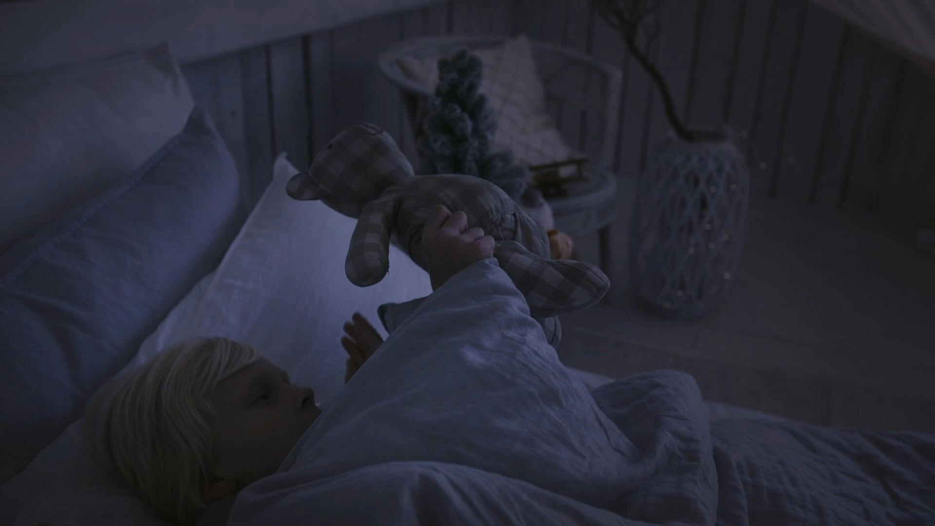 A Boy Having His Stuffed Toy Beside Him In Sleeping · Free Stock Video