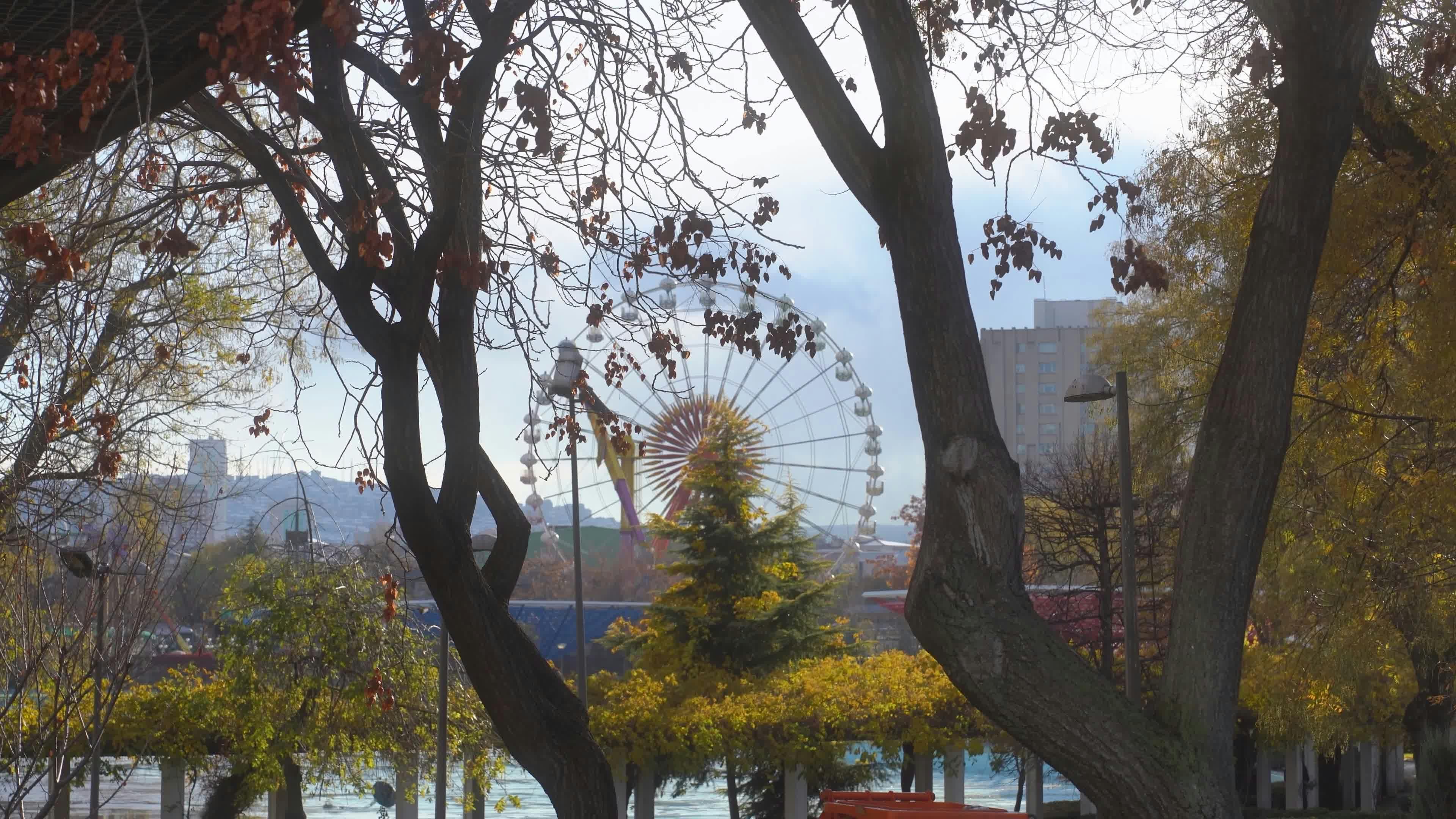 Scenic Ferris Wheel View Through Trees Free Stock Video Footage ...