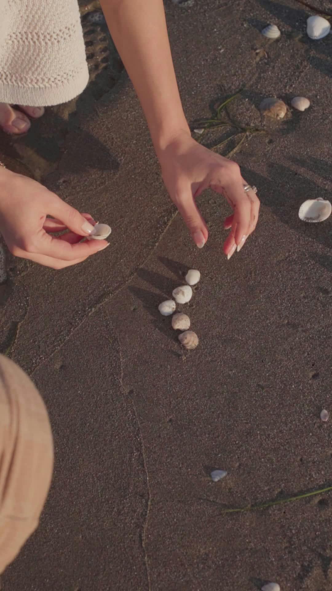 Tiger Minimal Videos, Download The BEST Free 4k Stock Video Footage ...