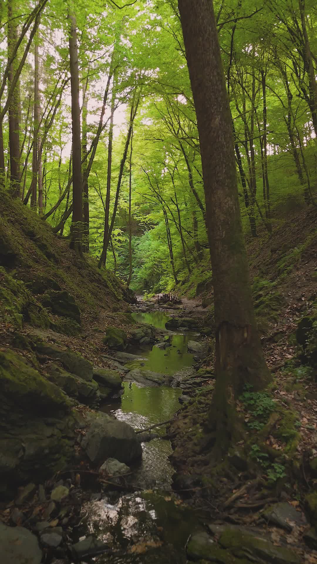 4k Wallpaper Spring Landscape Videos, Download The BEST Free 4k Stock ...