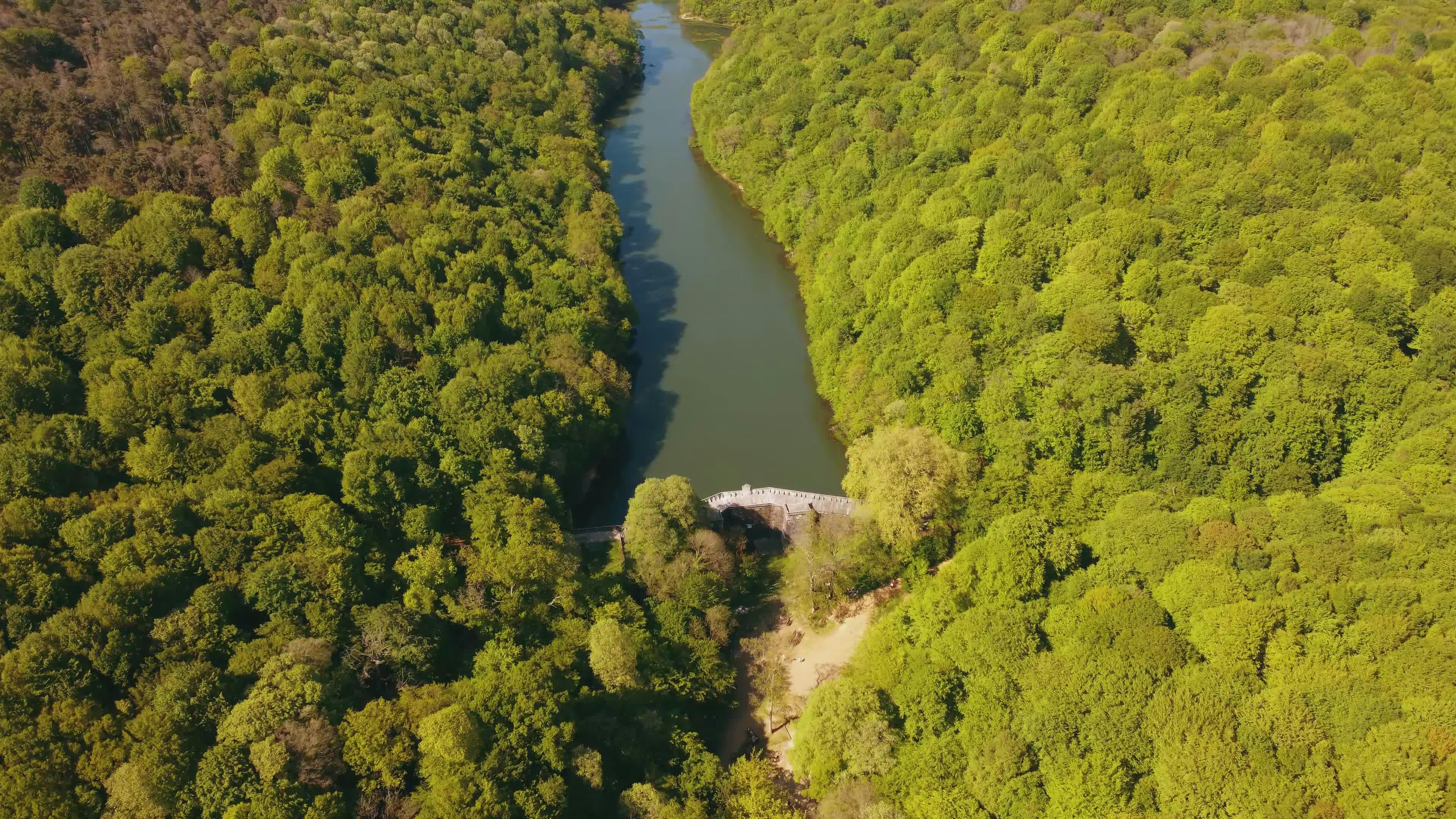 Aerial View of Verdant Forest and Serene River Free Stock Video Footage ...
