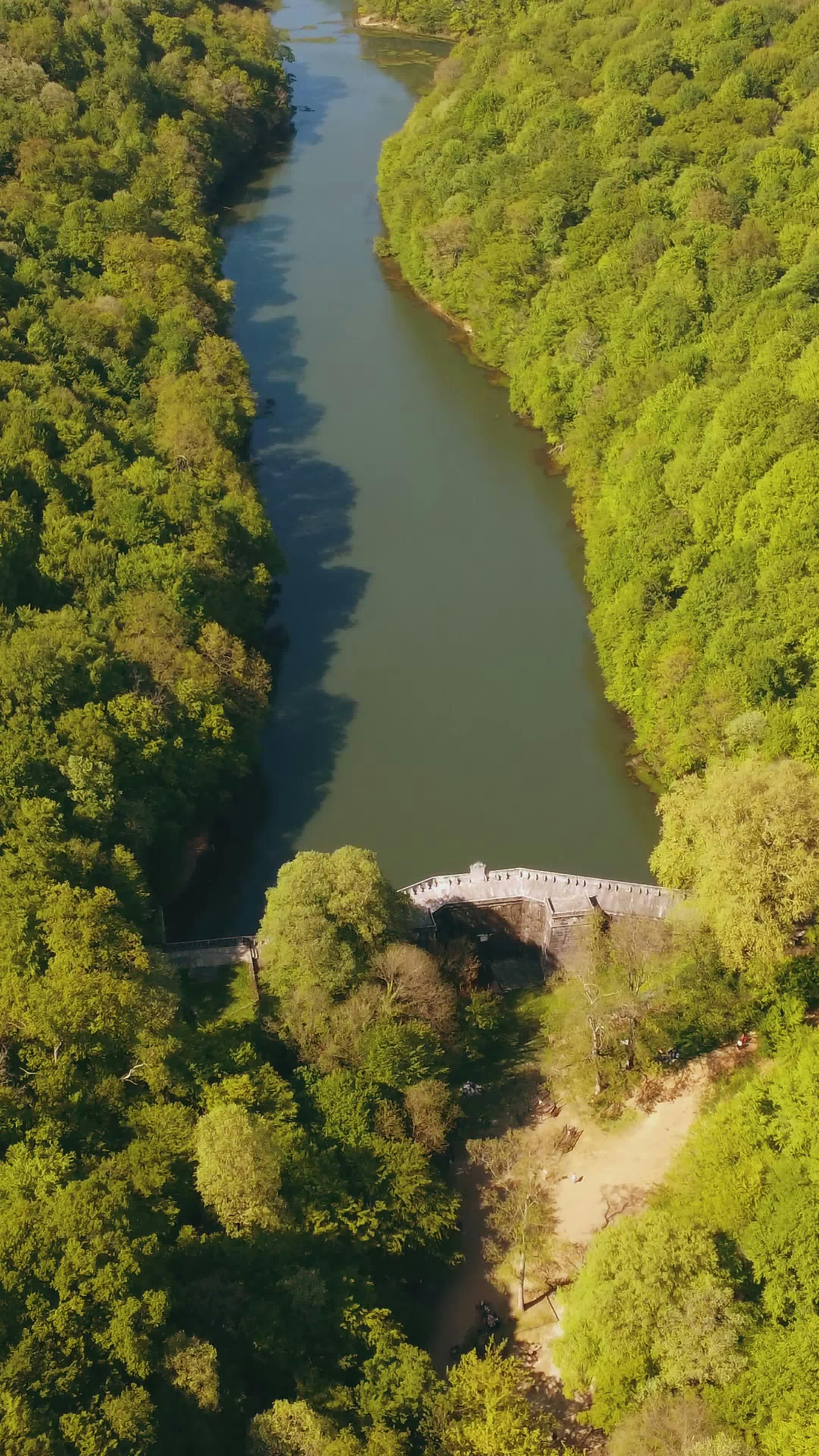Aerial View of River Flowing Through Lush Forest Free Stock Video ...
