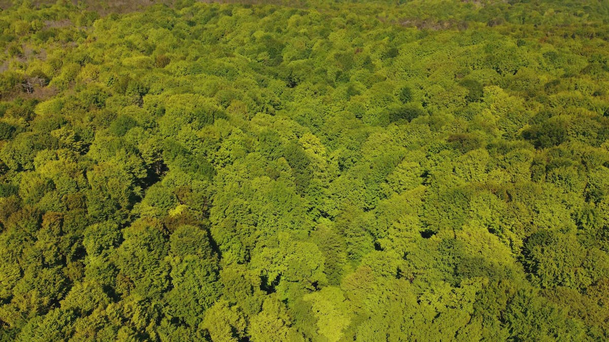 4k 60 Fps Videos, Download The BEST Free 4k Stock Video Footage & 4k 60 ...