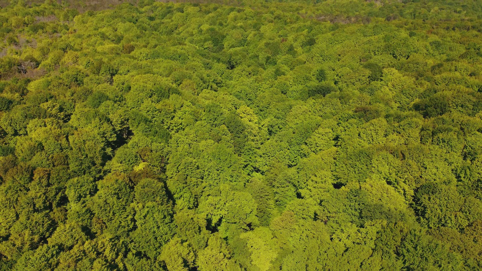 4k 60 Fps Videos, Download The BEST Free 4k Stock Video Footage & 4k 60 Fps HD Video Clips