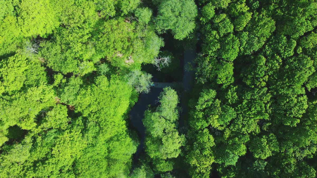 240 Fps Videos, Download The BEST Free 4k Stock Video Footage & 240 Fps ...