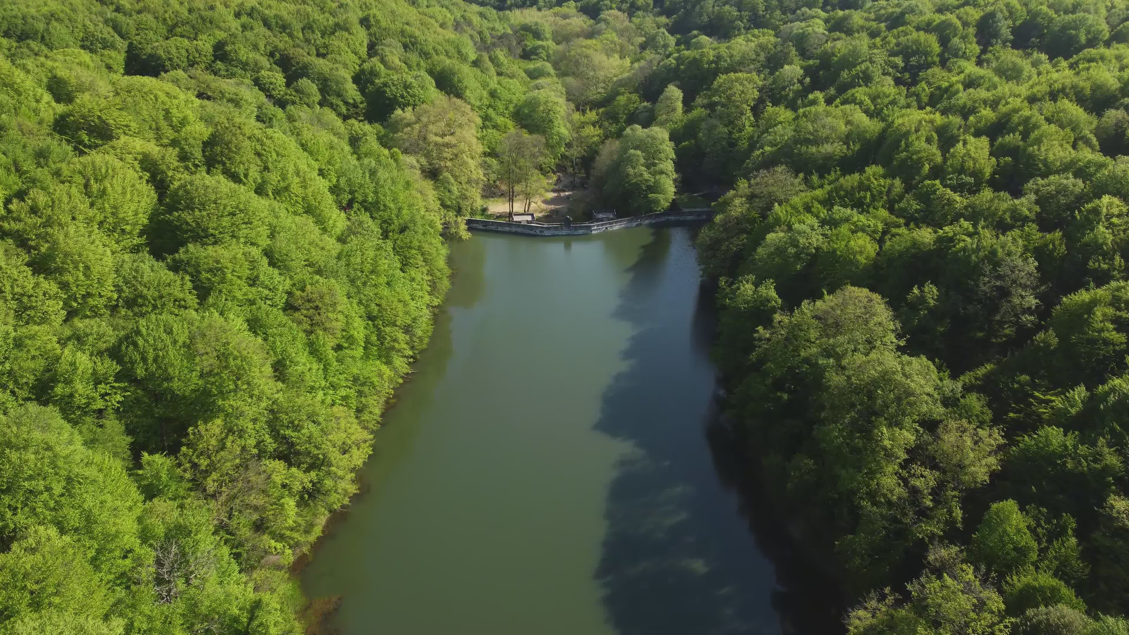 Aerial View of Lush Green Forest and Serene Lake Free Stock Video ...