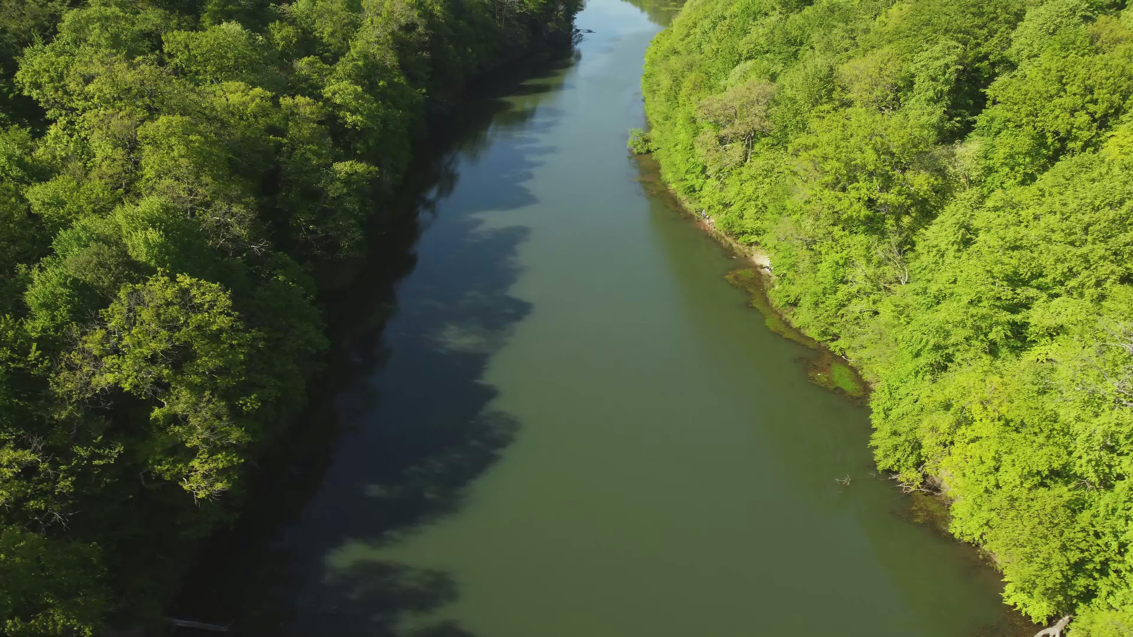 Serene Aerial View of Lush Green Forest River Free Stock Video Footage ...